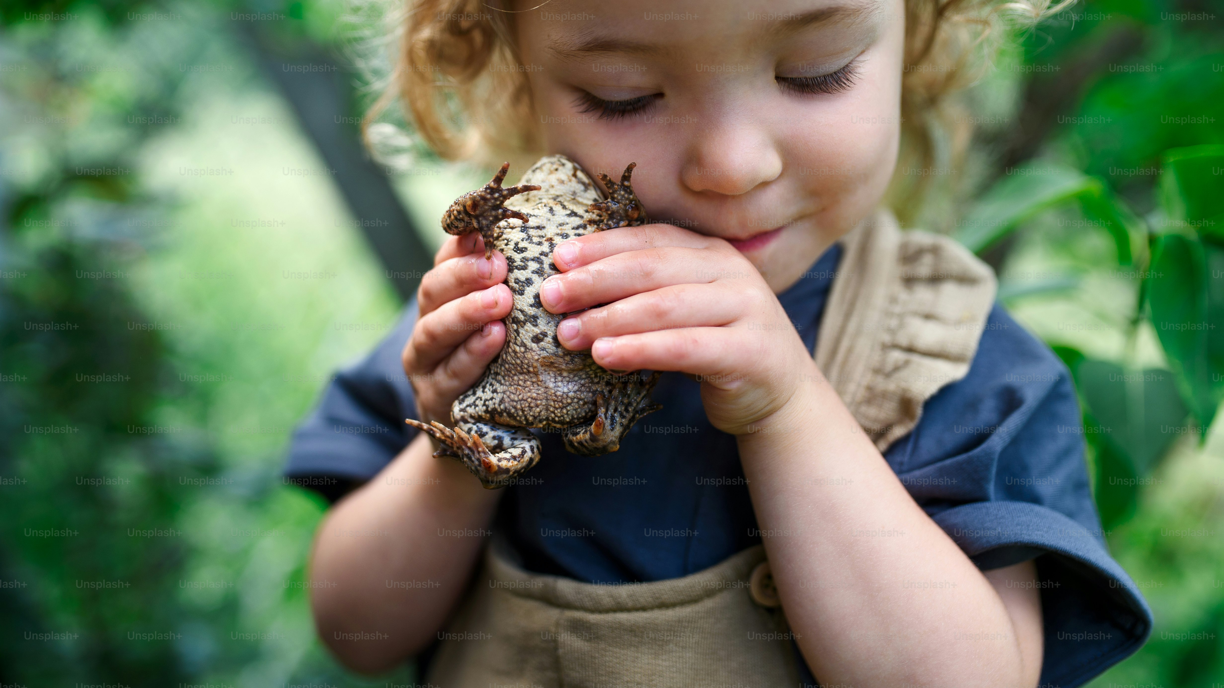 Close up portrait of happy small girl holding a frog outdoors in summer ...