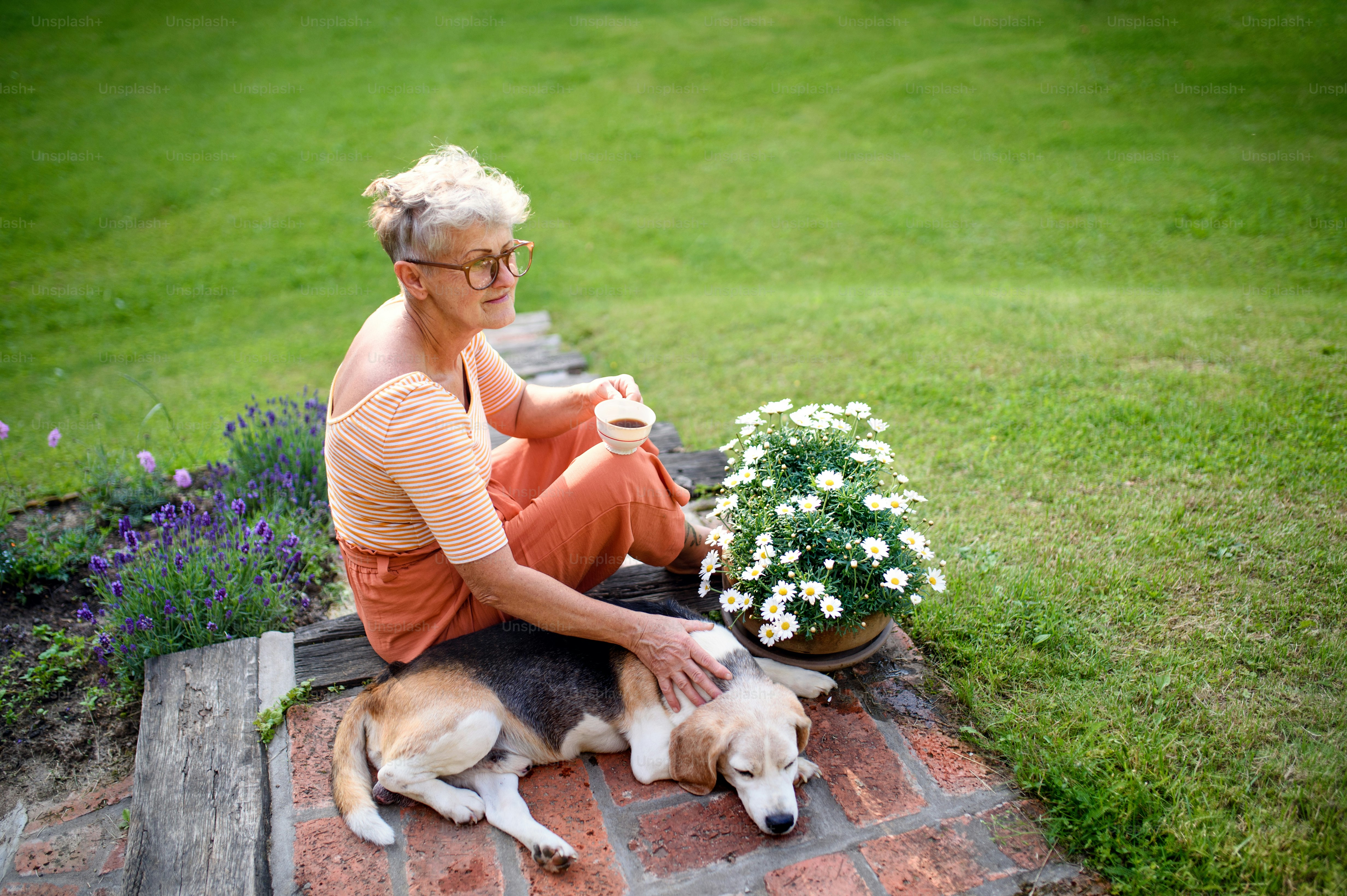 Side view portrait of senior woman with pet dog sitting outdoors in ...