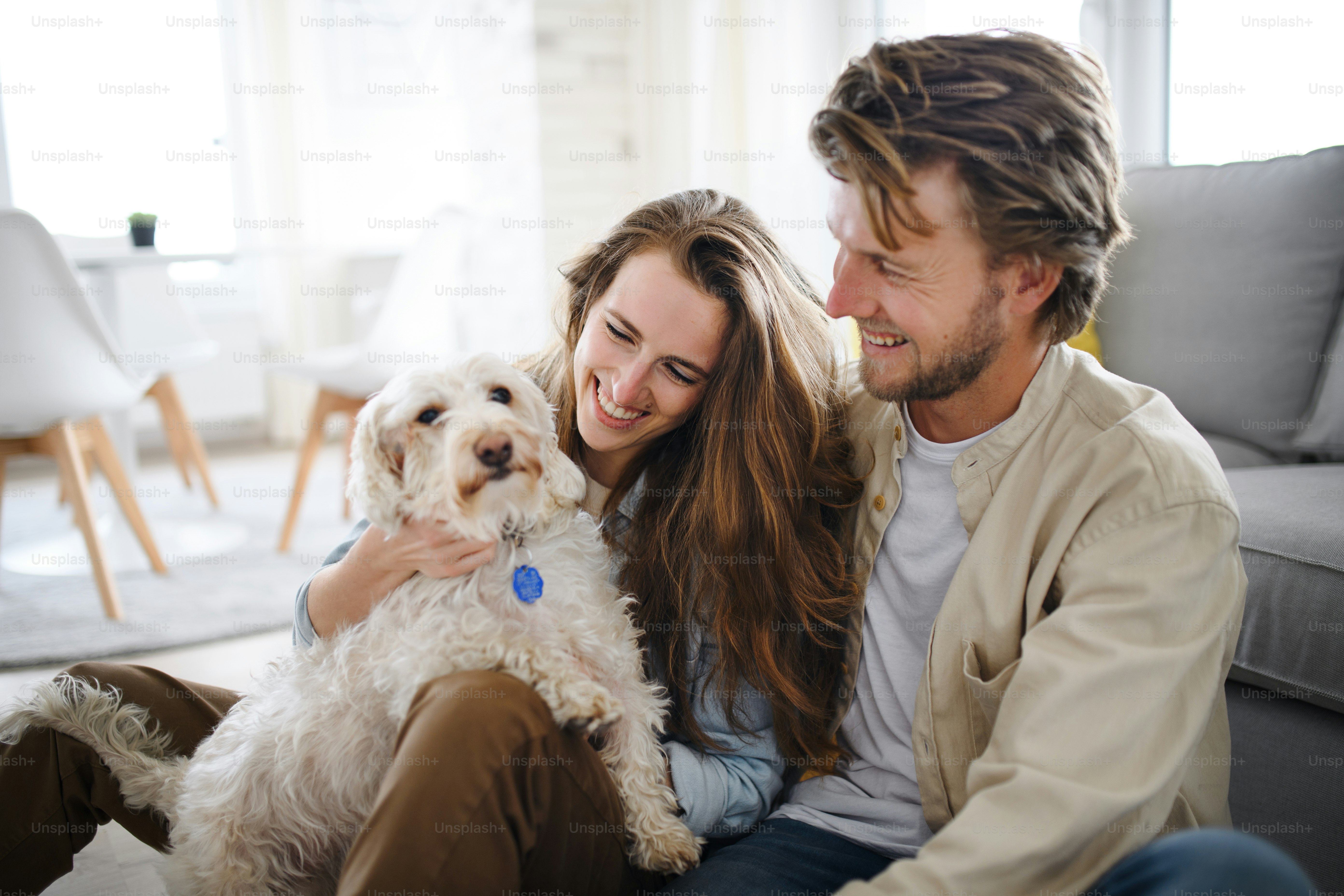 A happy young couple in love with dog indoors at home, resting. photo ...
