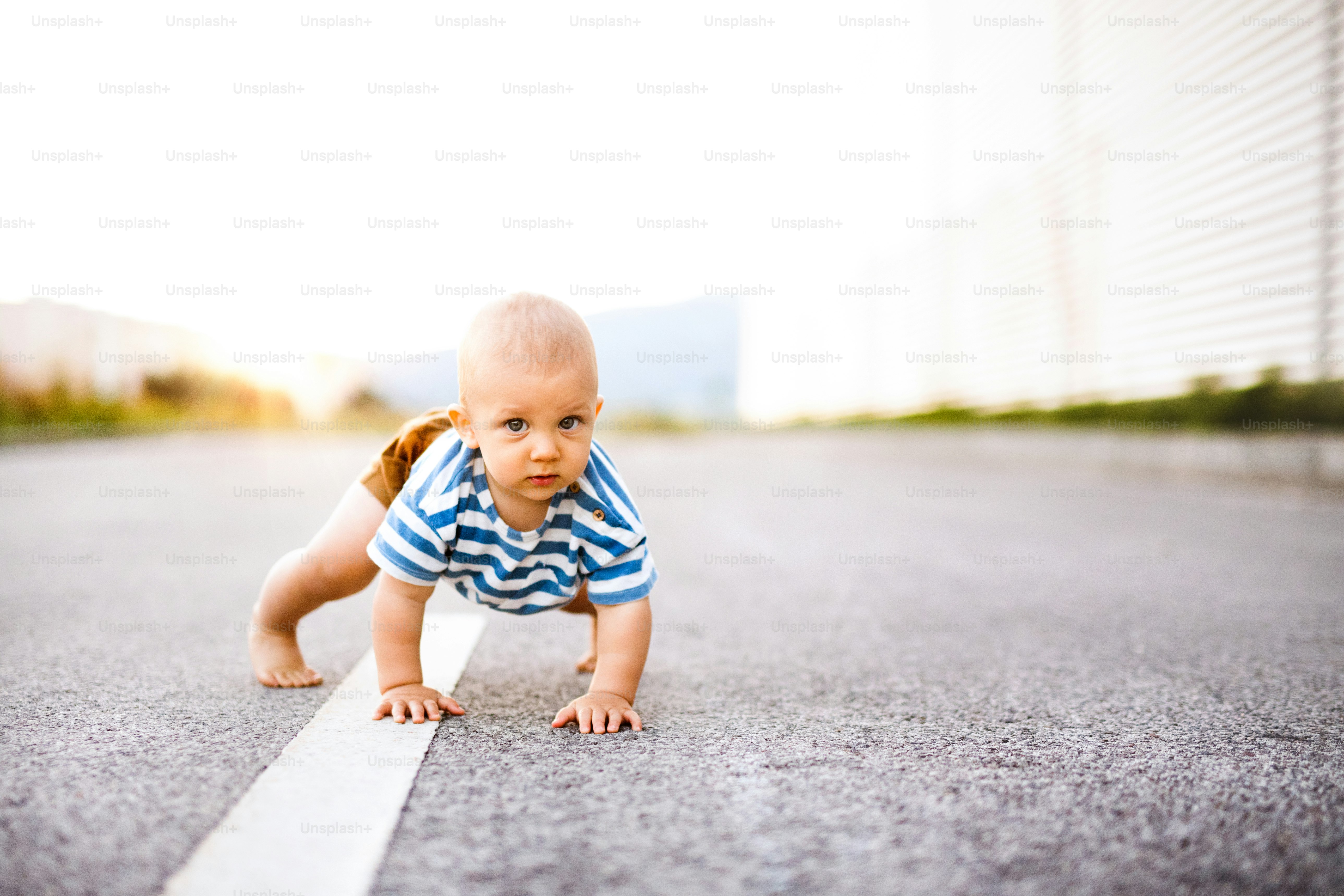 Crawling Pictures | Download Free Images on Unsplash