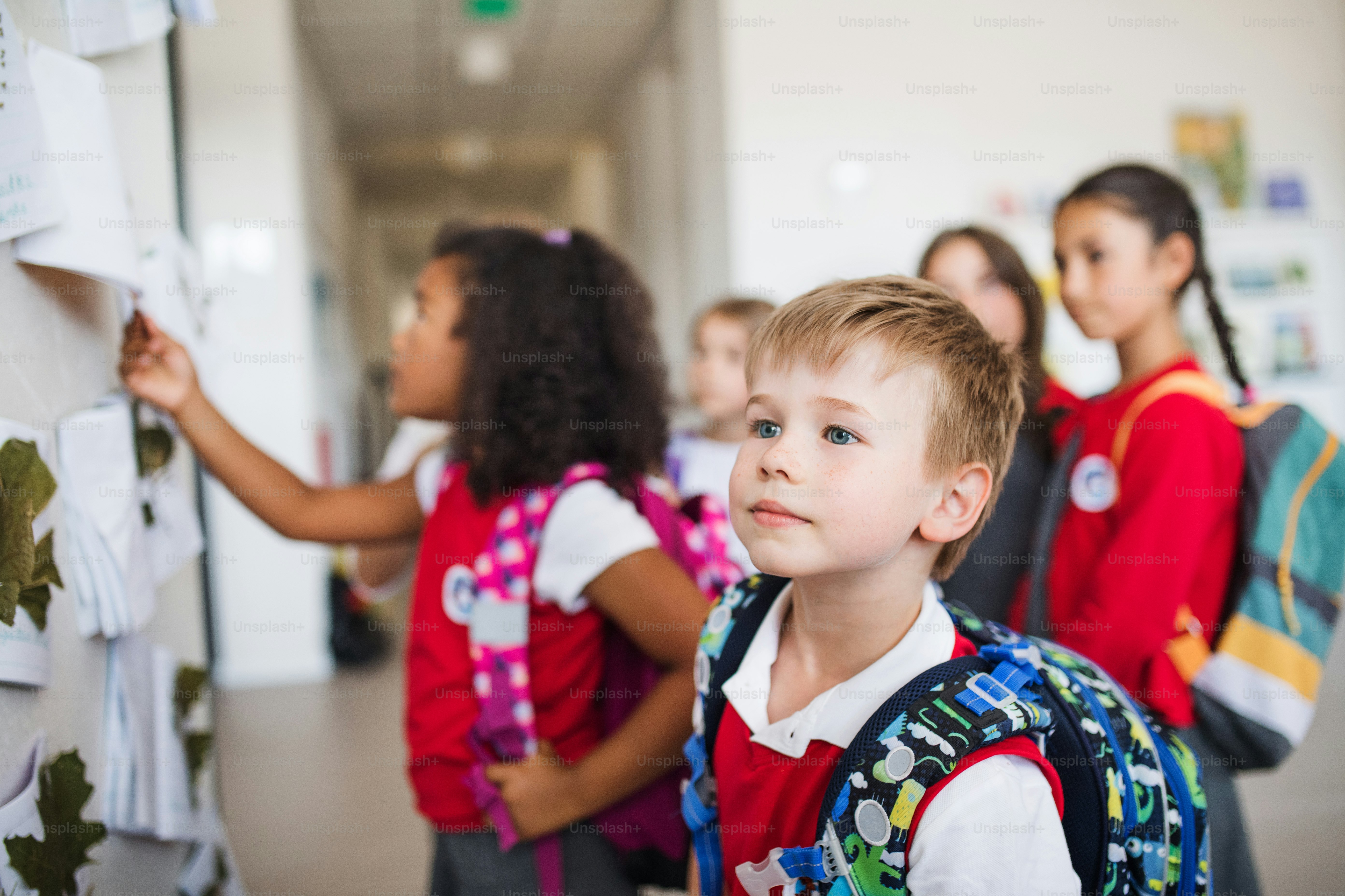 A group of cheerful small school kids in corridor, standing and talking ...
