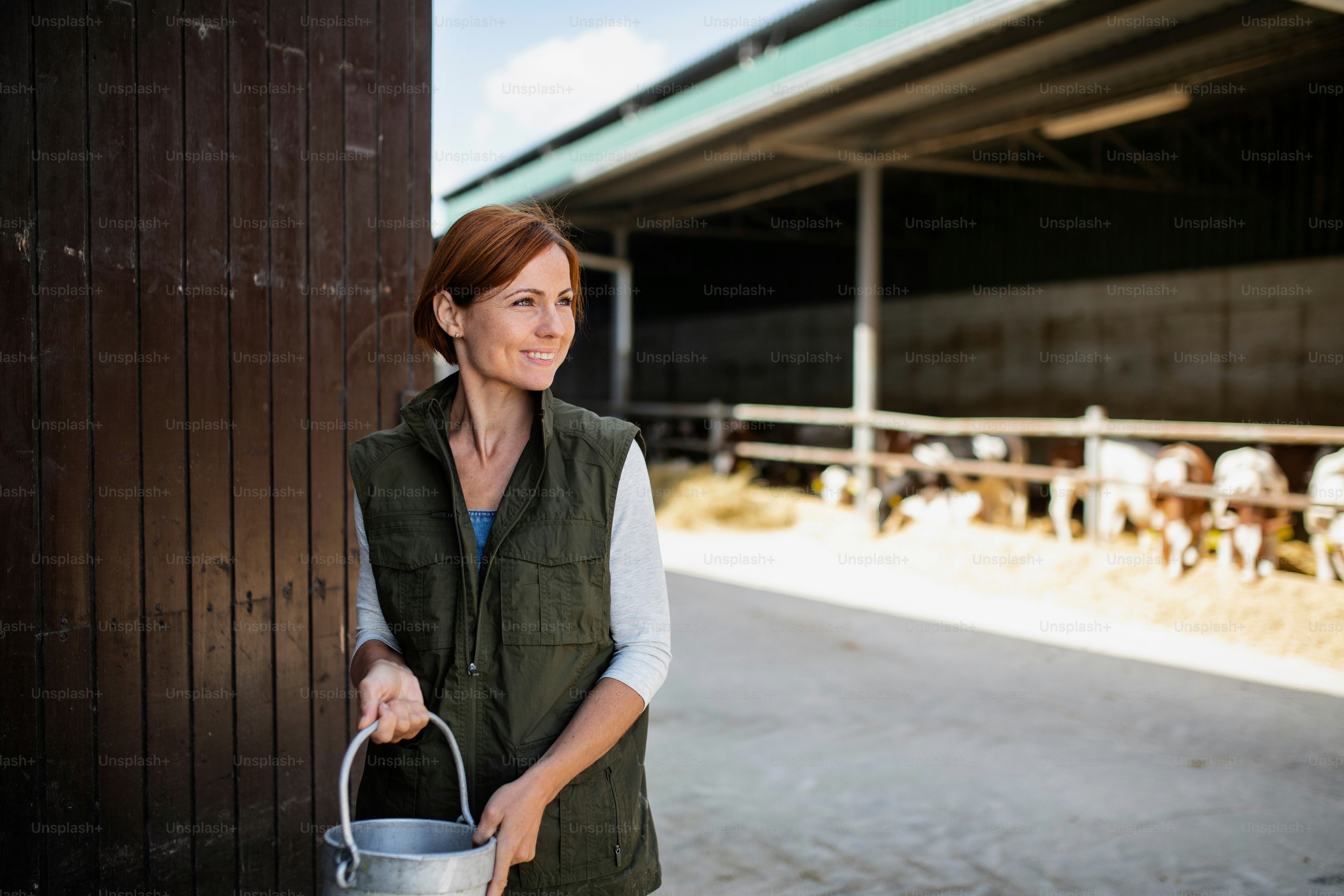 A woman worker with cans working on diary farm, agriculture industry ...