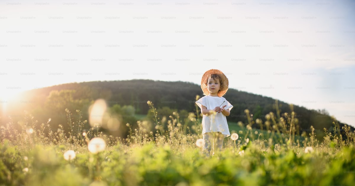 夏の屋外の牧草地に立つ小さな幼児の女の子の肖像画。スペースをコピーします。の写真 Unsplashのライフ スタイルの画像
