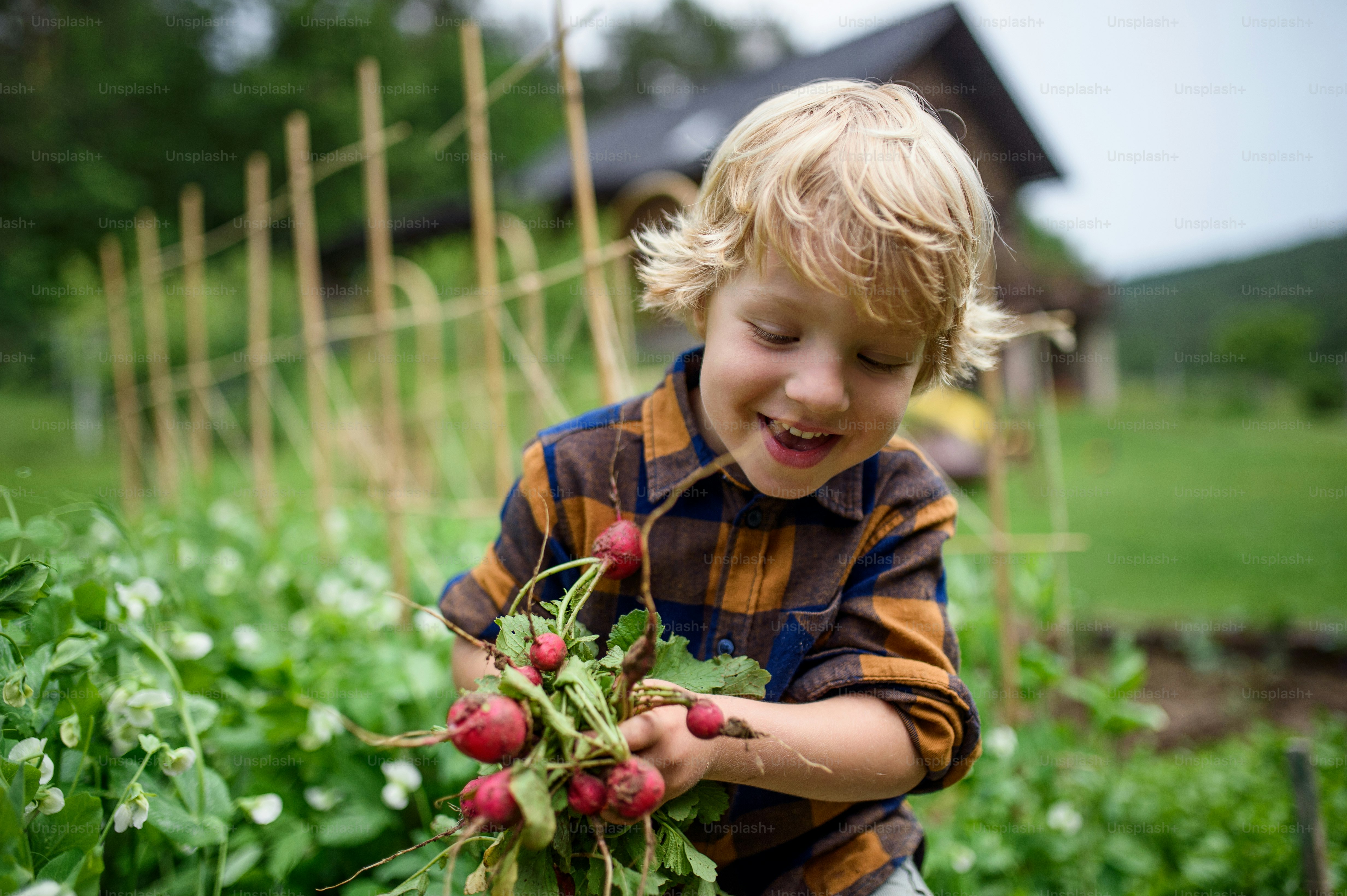 Gens Dans Leur Jardin Photos | Télécharger des images gratuites sur ...