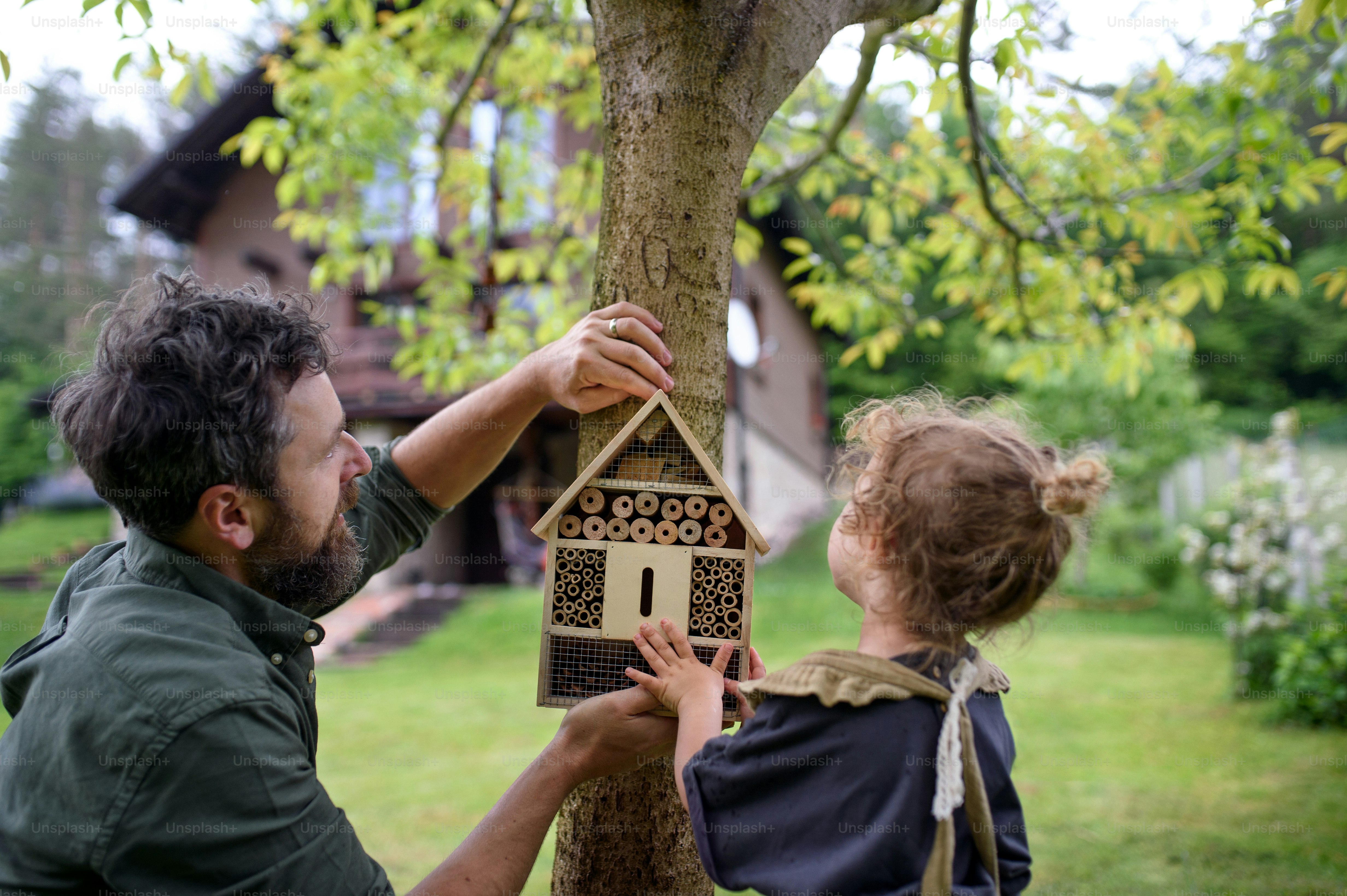 Rear view of small girl with father holding bug and insect hotel in ...