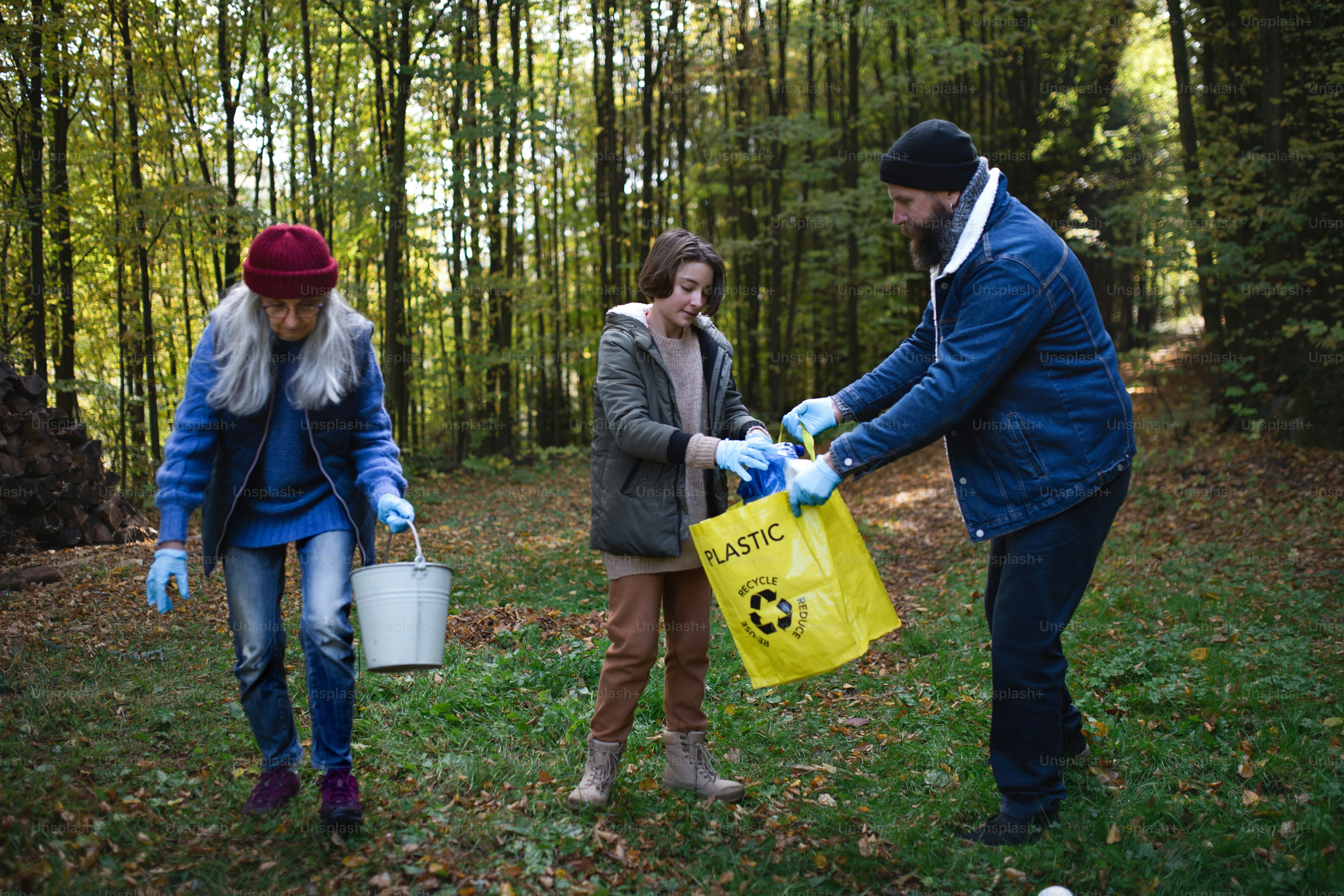 A diverse group of volunteers cleaning up forest from waste, community ...