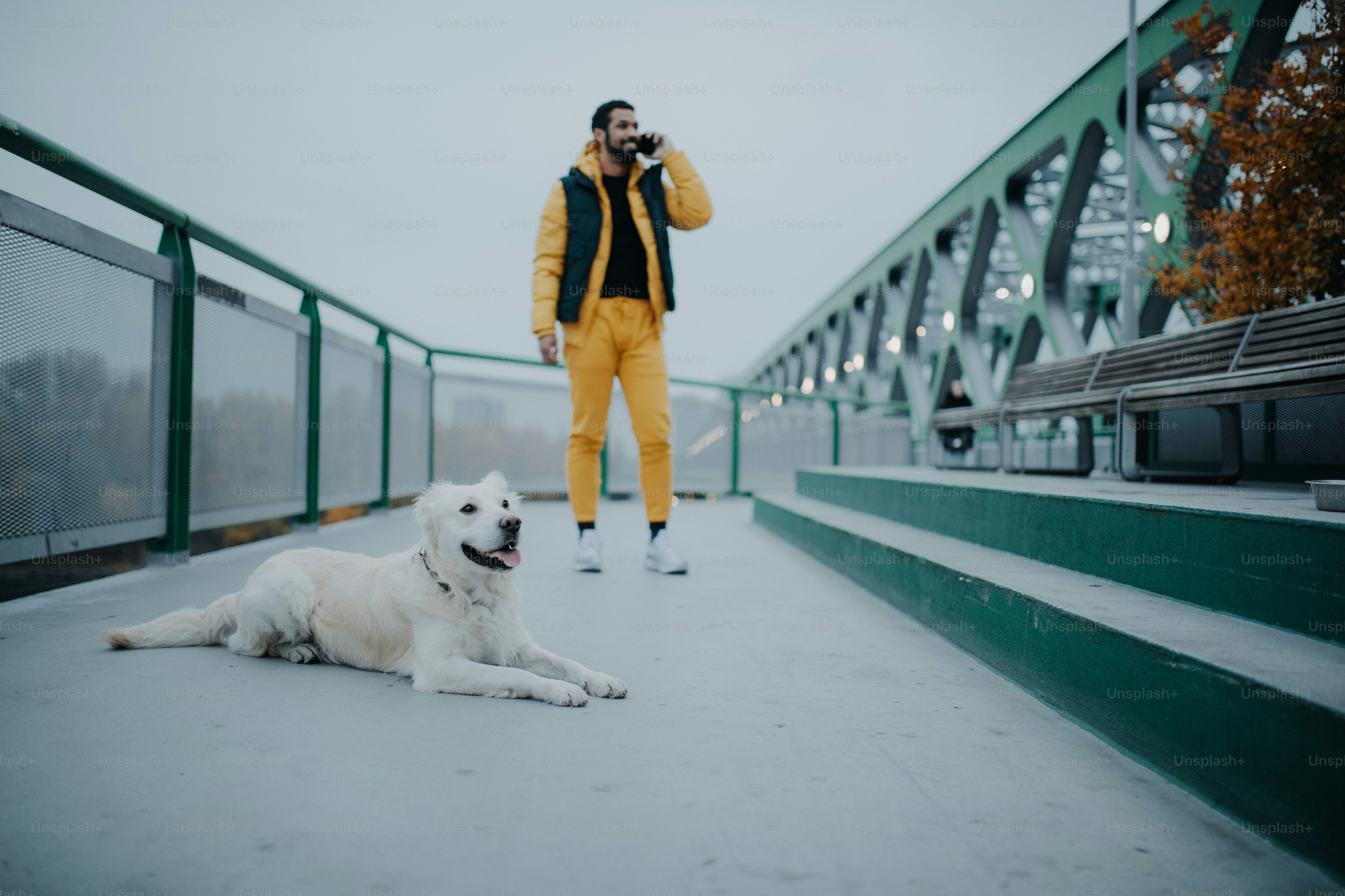 A happy young man using smarthpone during dog walk outdoors in town ...