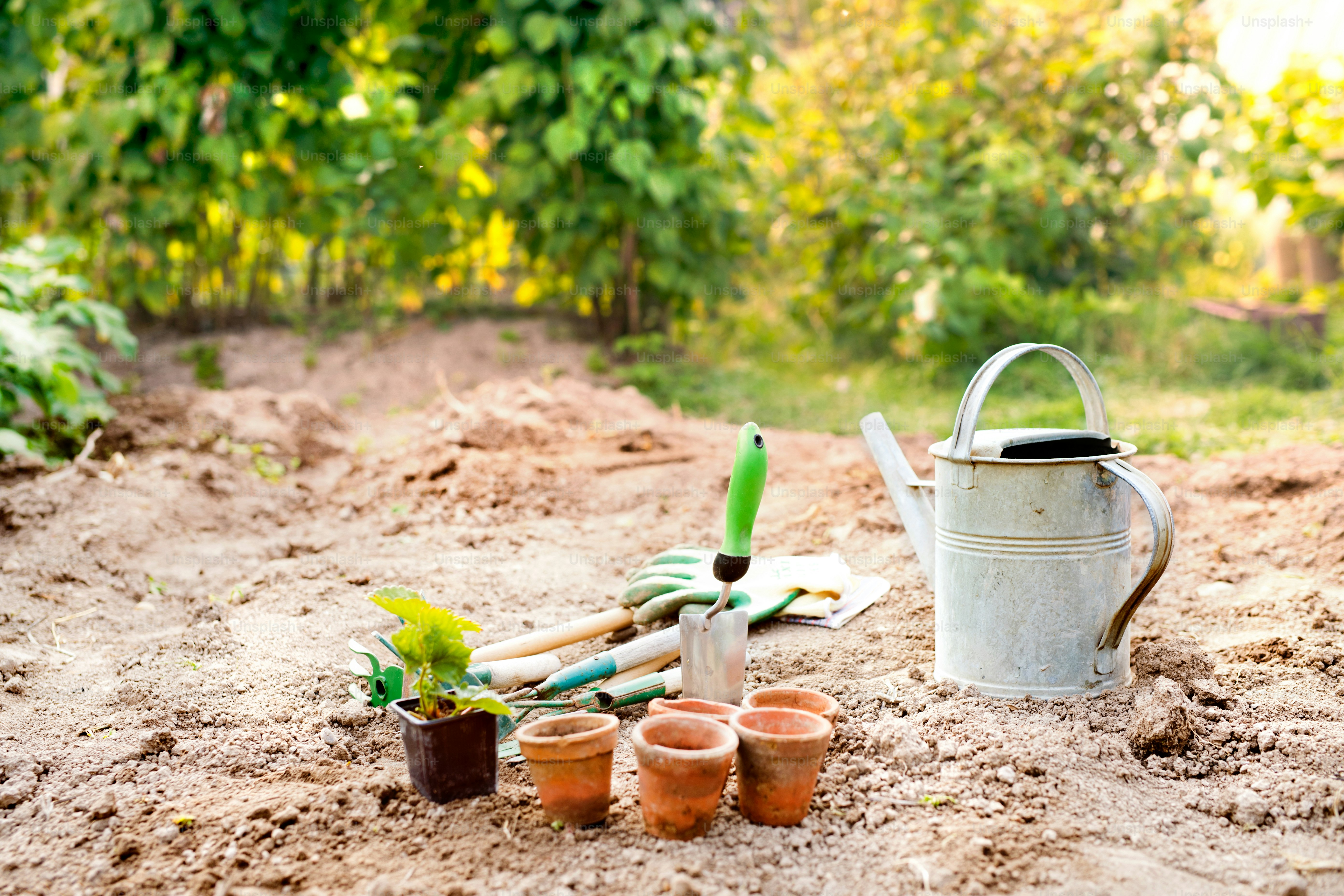 Garden tools, flower pots, gloves, plants and watering can in the ...