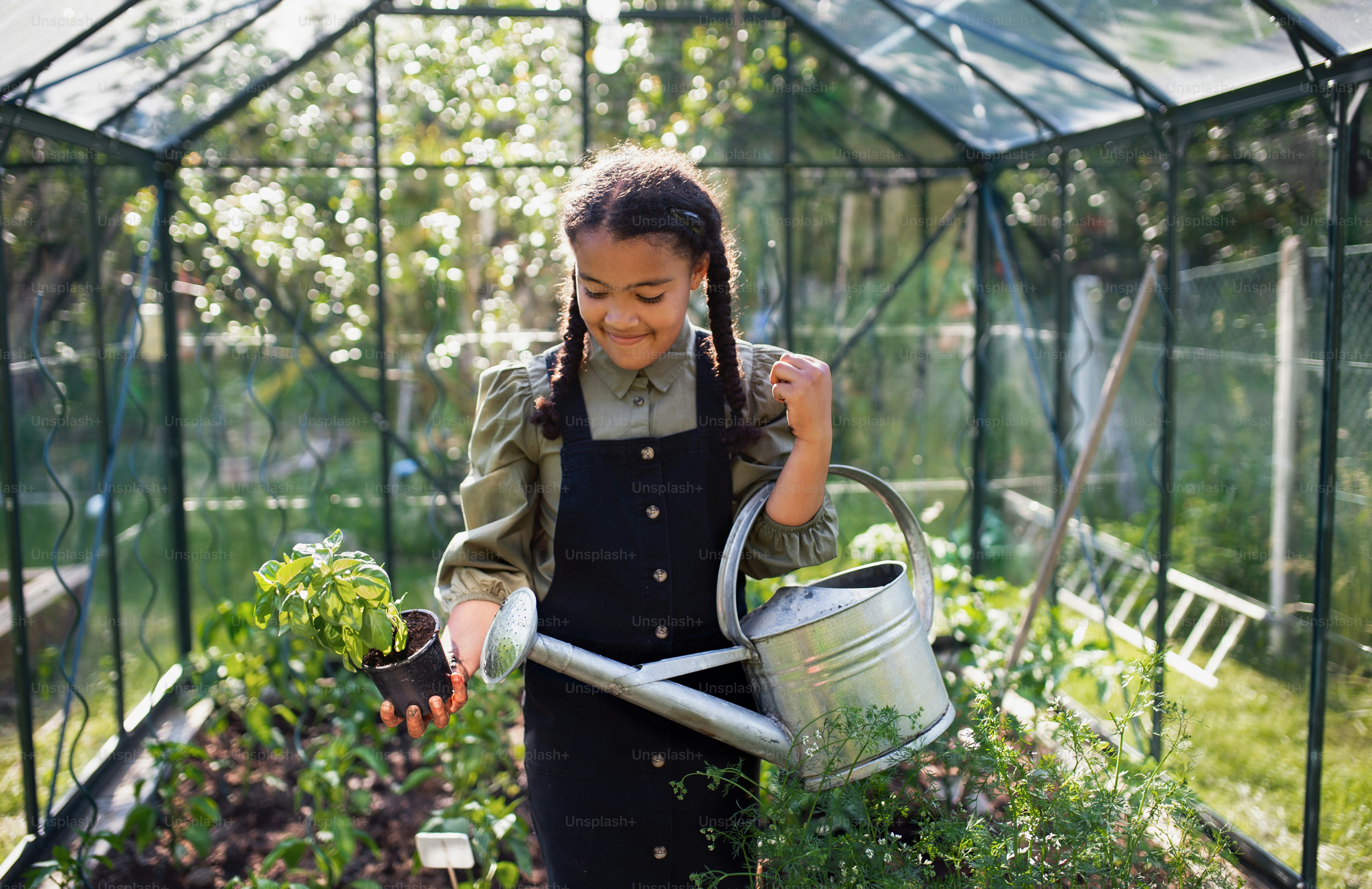 A happy small girl gardening in greenhouse outdoors in backyard. photo ...