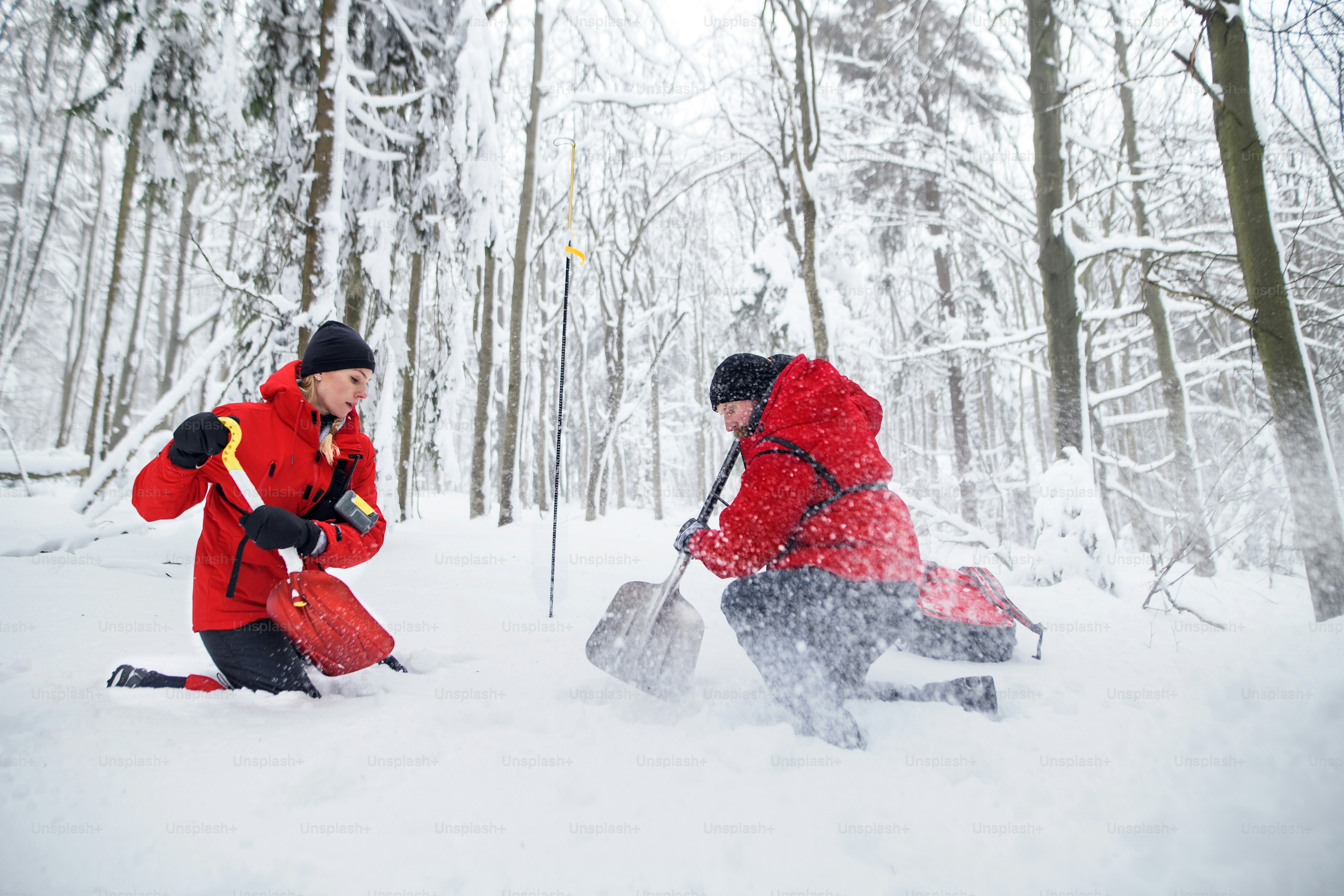 Mountain rescue service on operation outdoors in winter in forest ...
