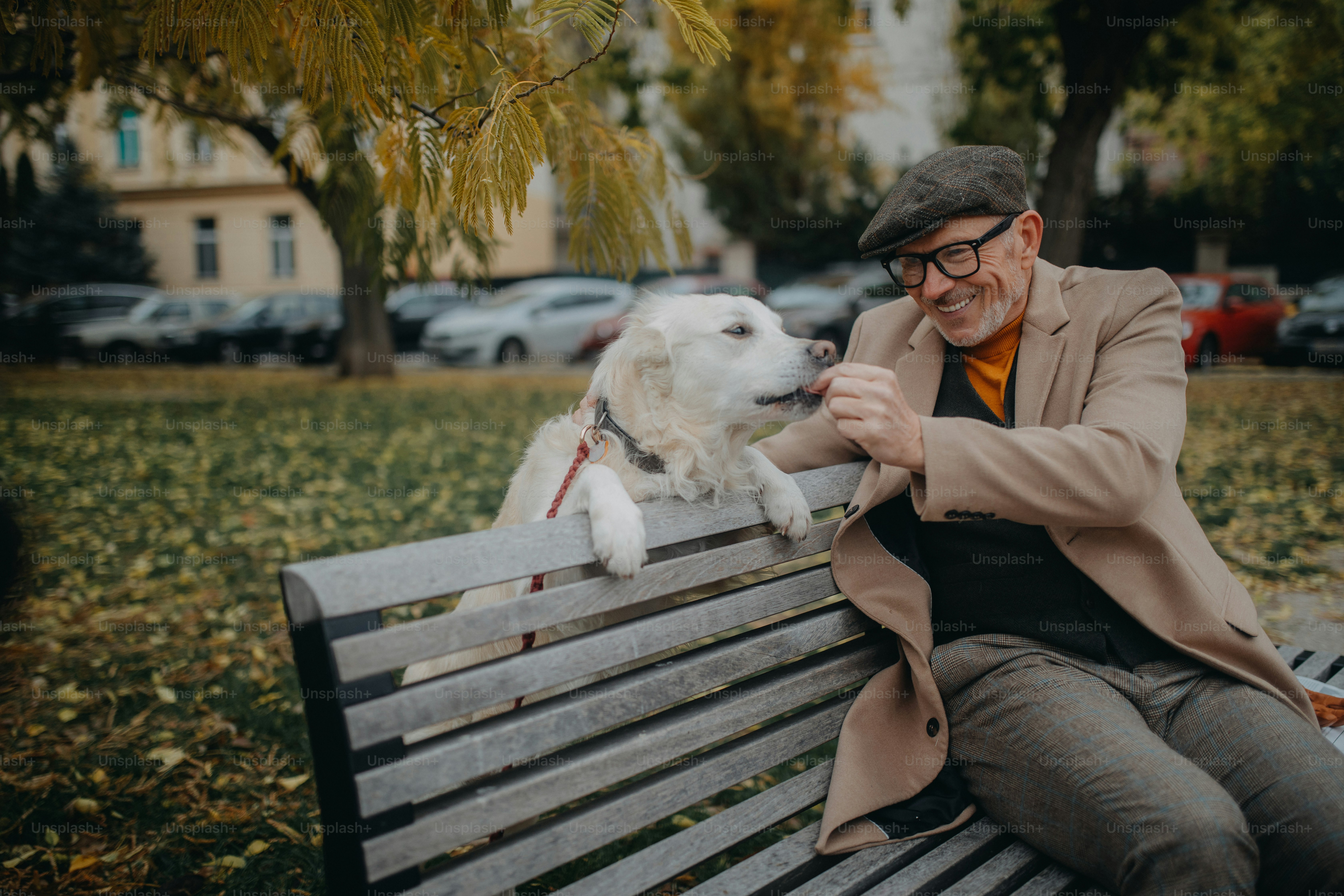 A happy senior man sitting on bench and resting during dog walk ...