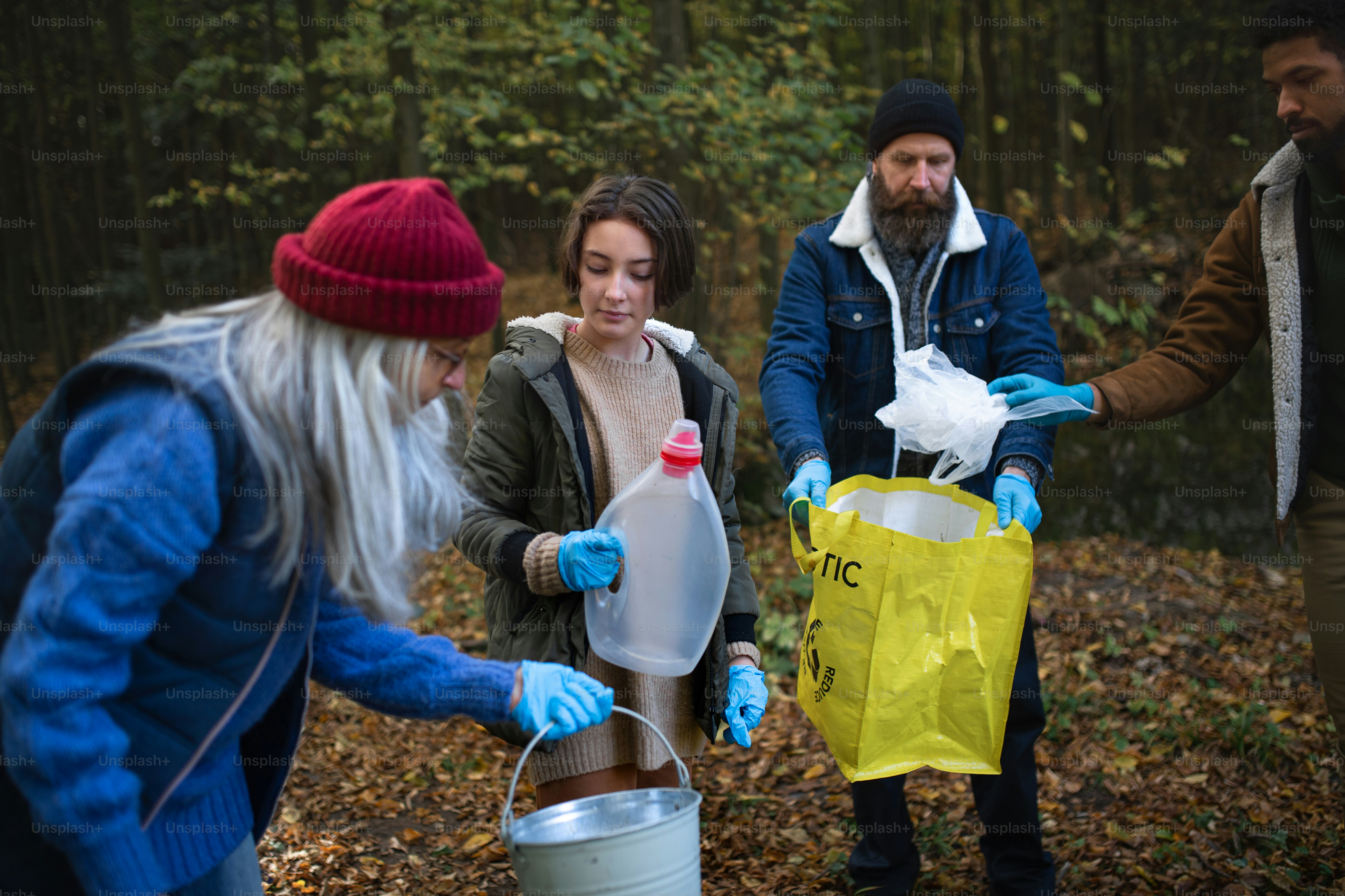 A diverse group of volunteers cleaning up forest from waste, community ...
