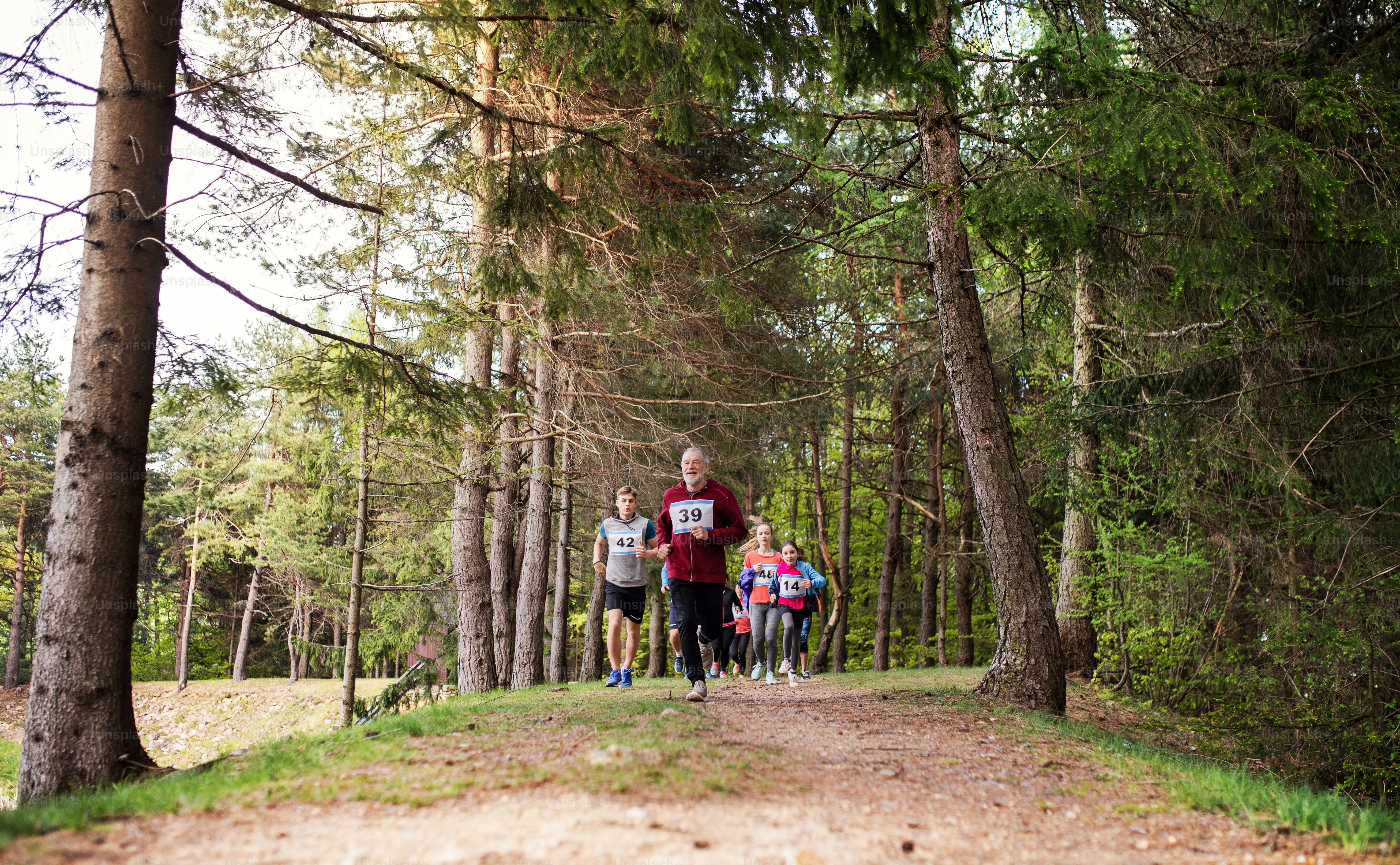 A large group of active multi generation people running a race ...