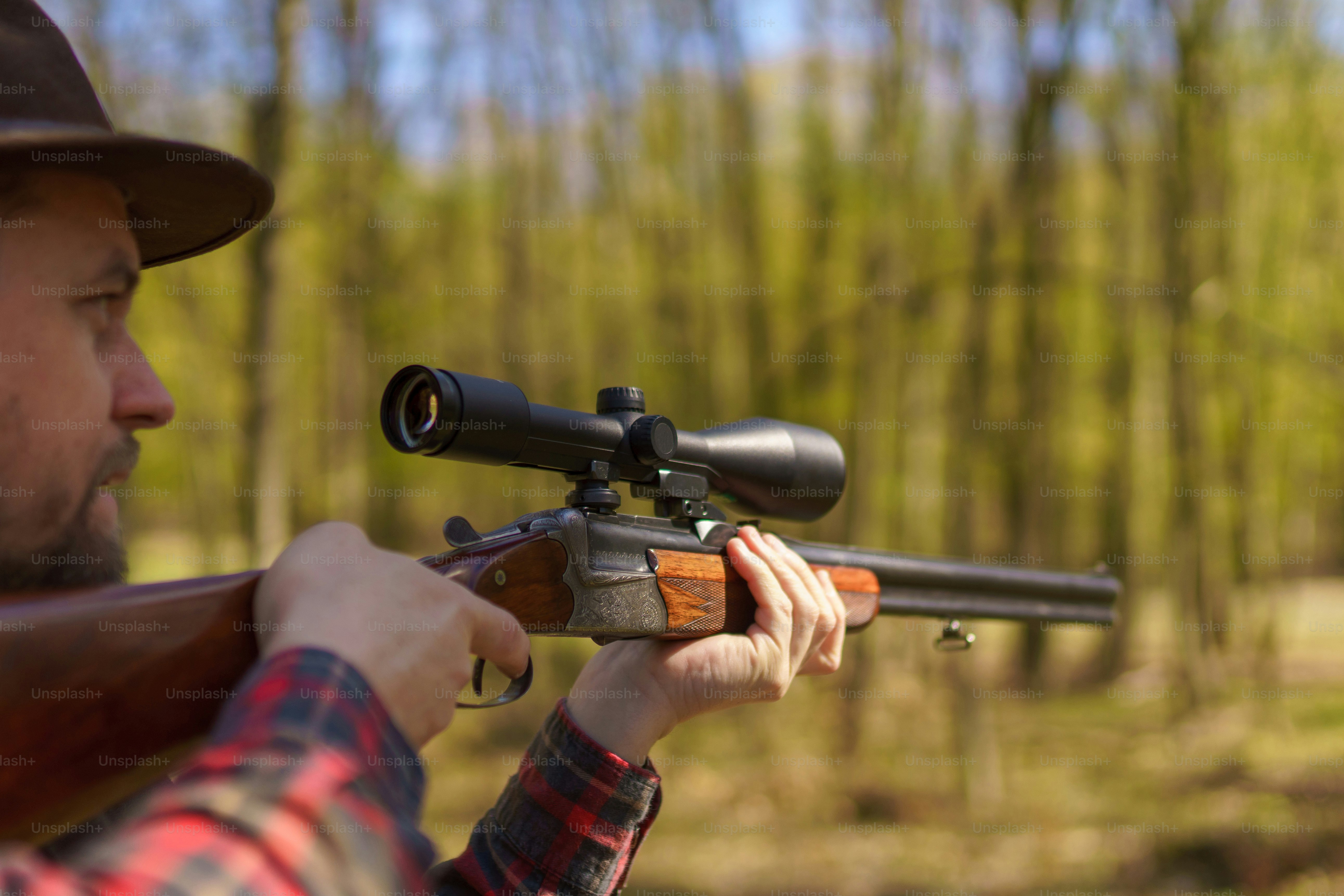 Un chasseur qui vise avec un fusil sur une proie dans la forêt. photo ...