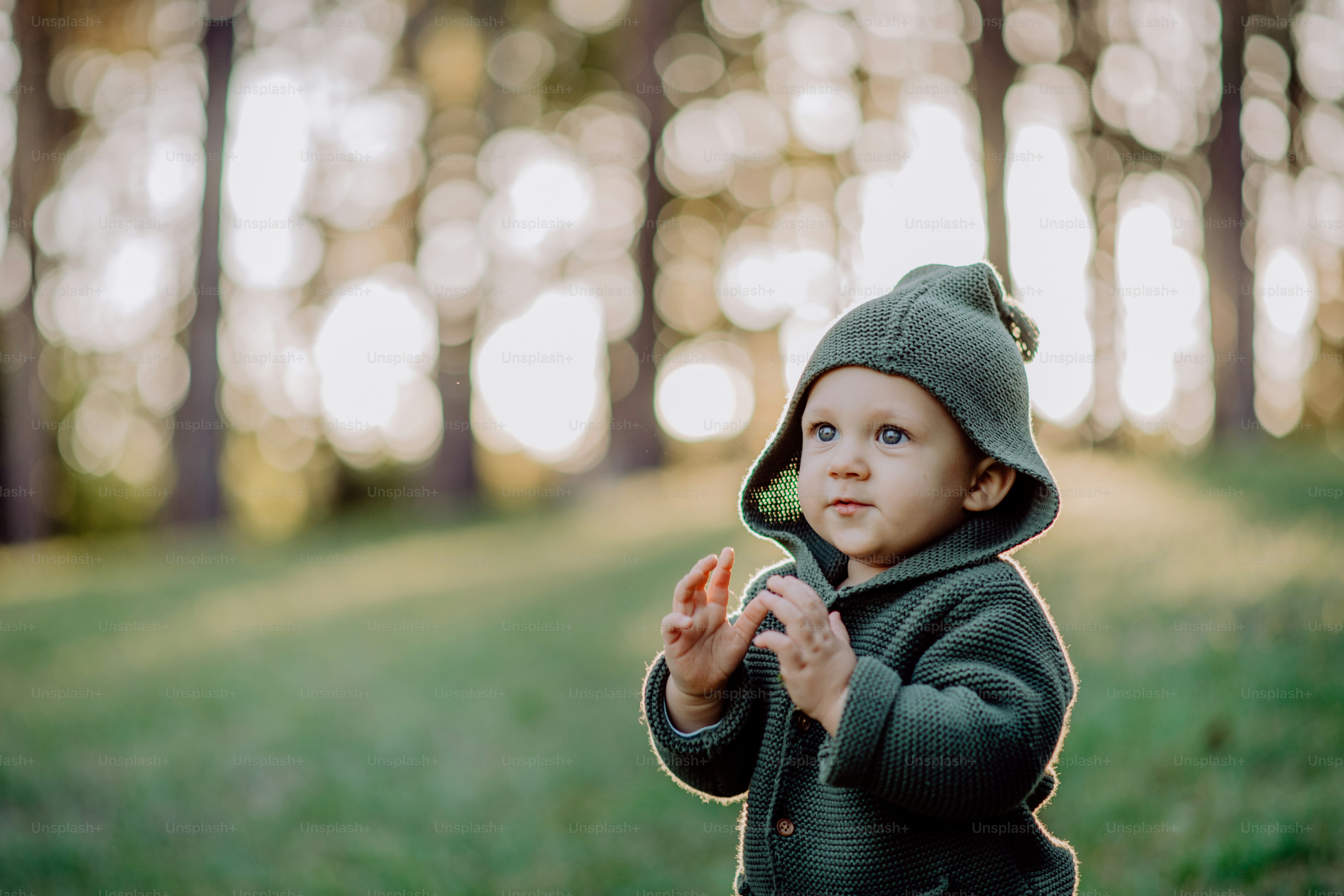 A portrait of cute little boy wearing knitted hoodie in nautre holding ...