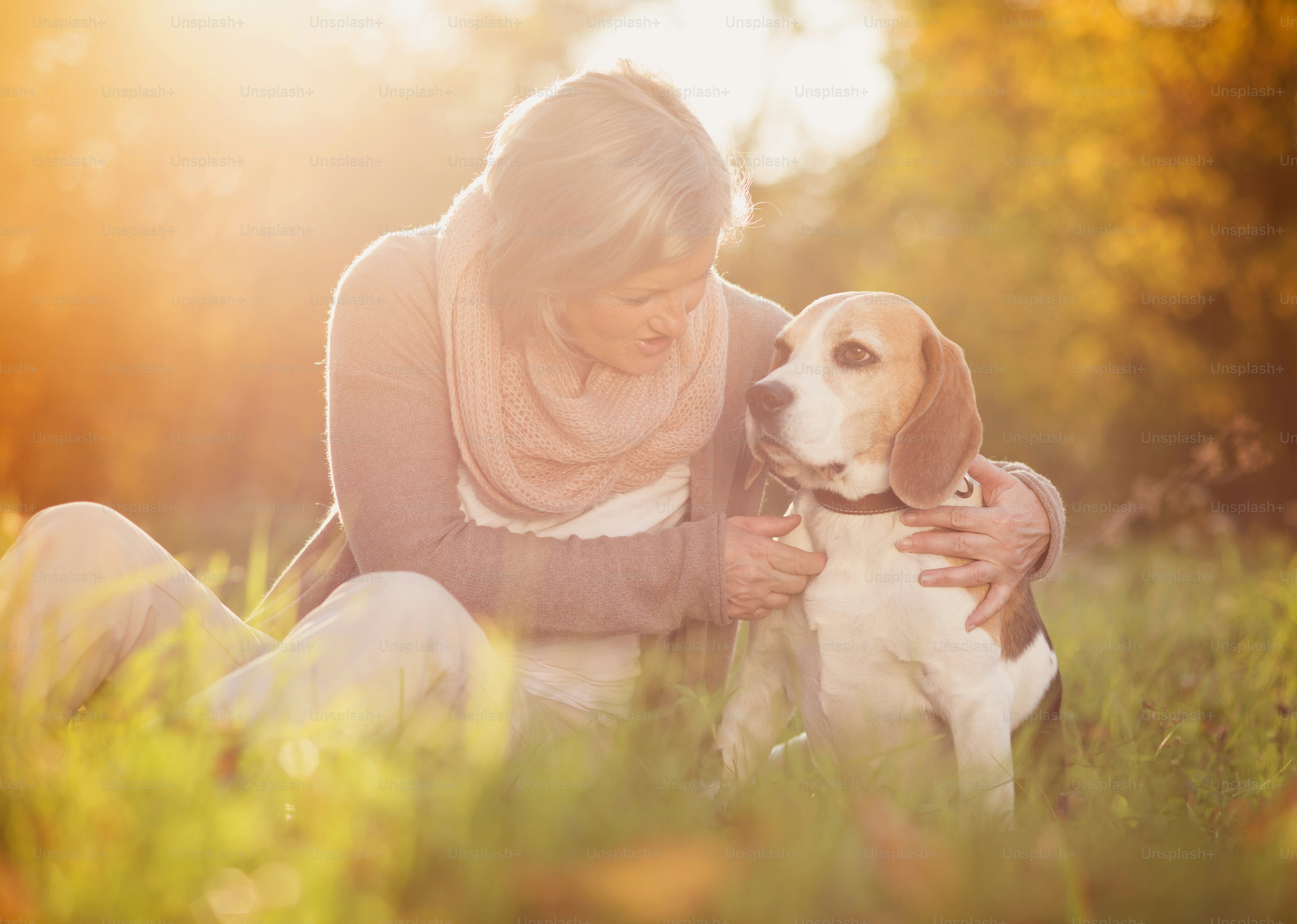 Senior woman hugs her beagle dog in countryside photo – Dog Image on ...