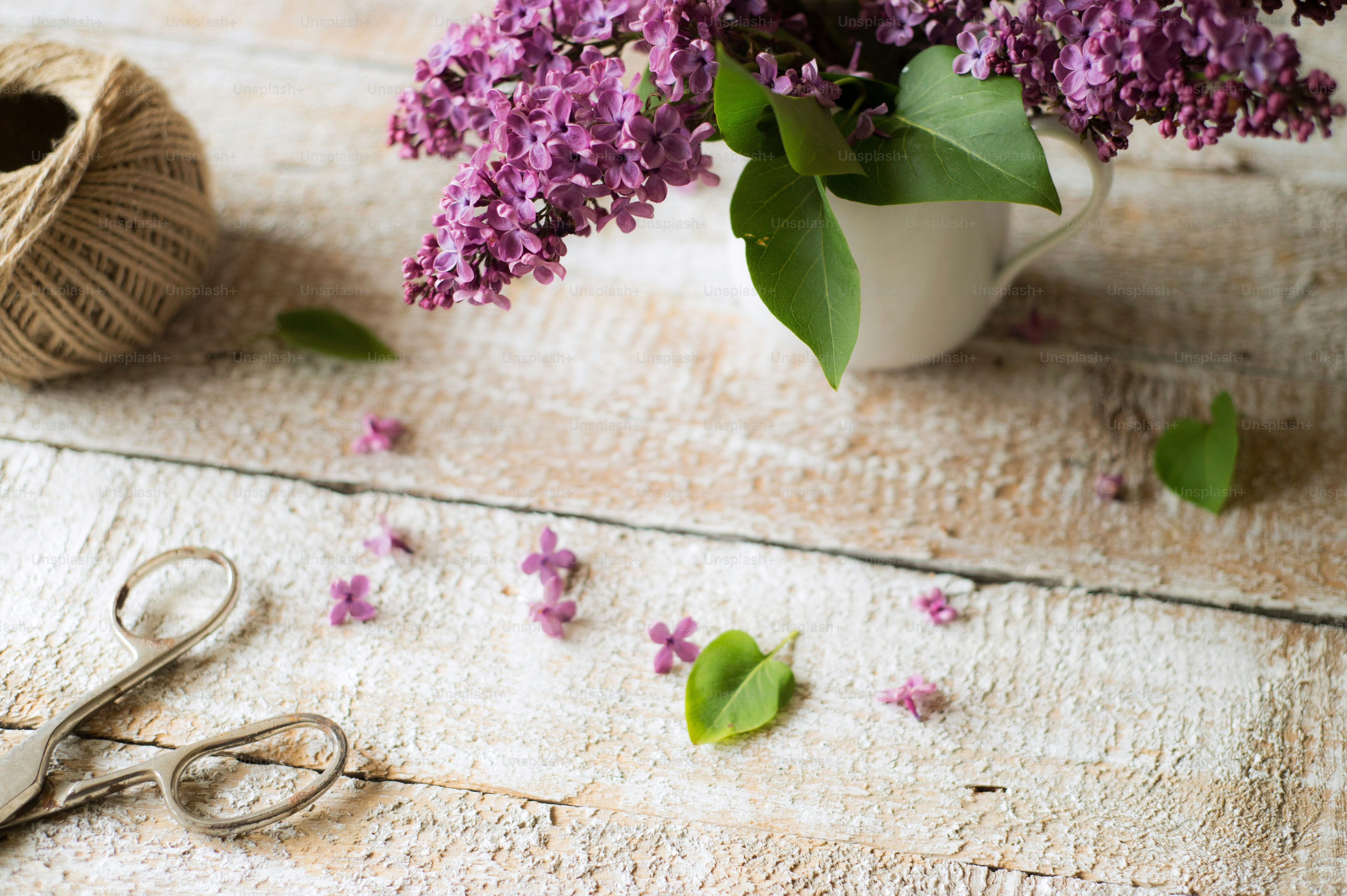 Beautiful purple lilac bouquet, scissors and in vase laid on table ...