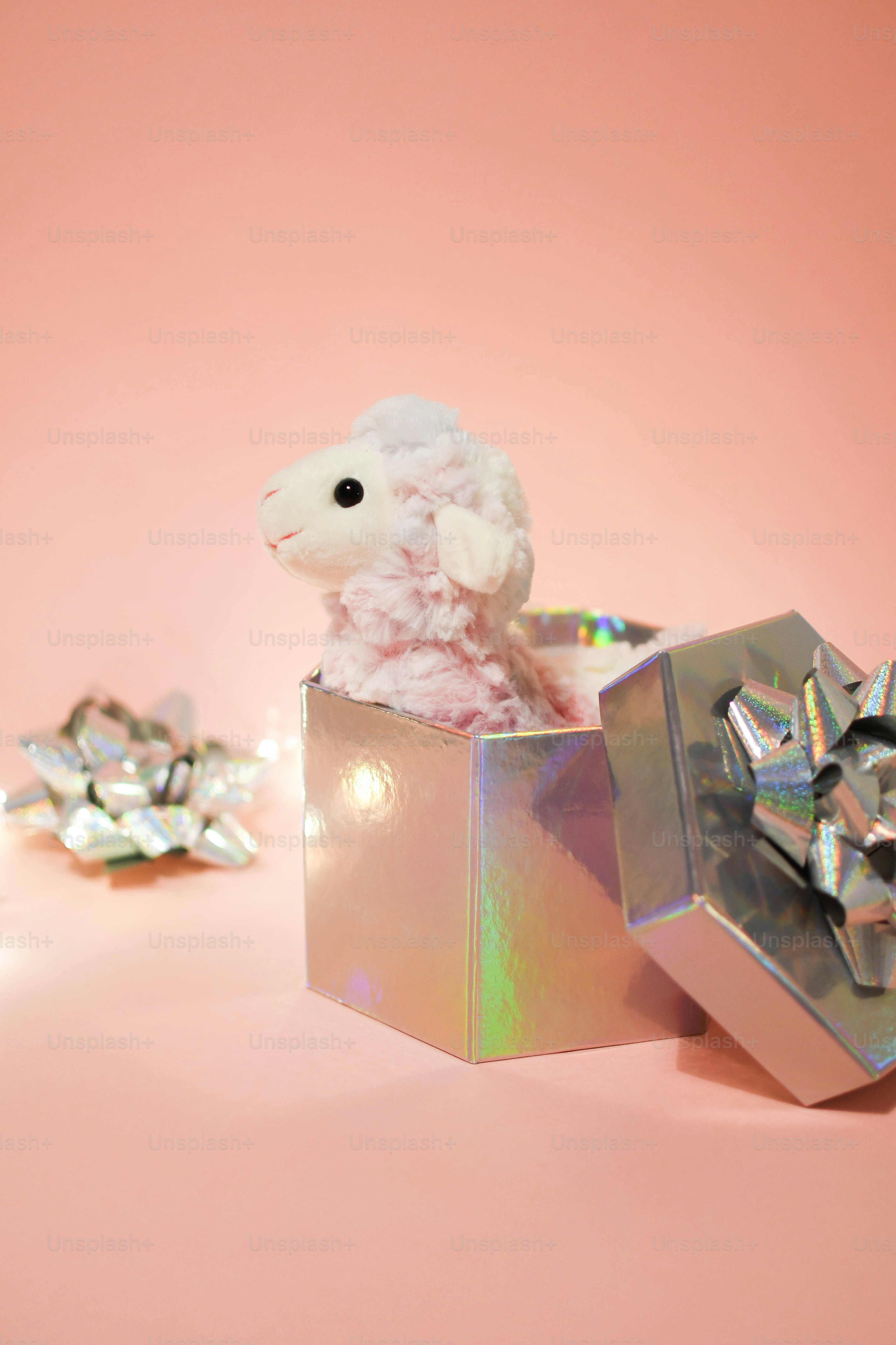 A small white stuffed animal sitting inside of a box photo – Present ...