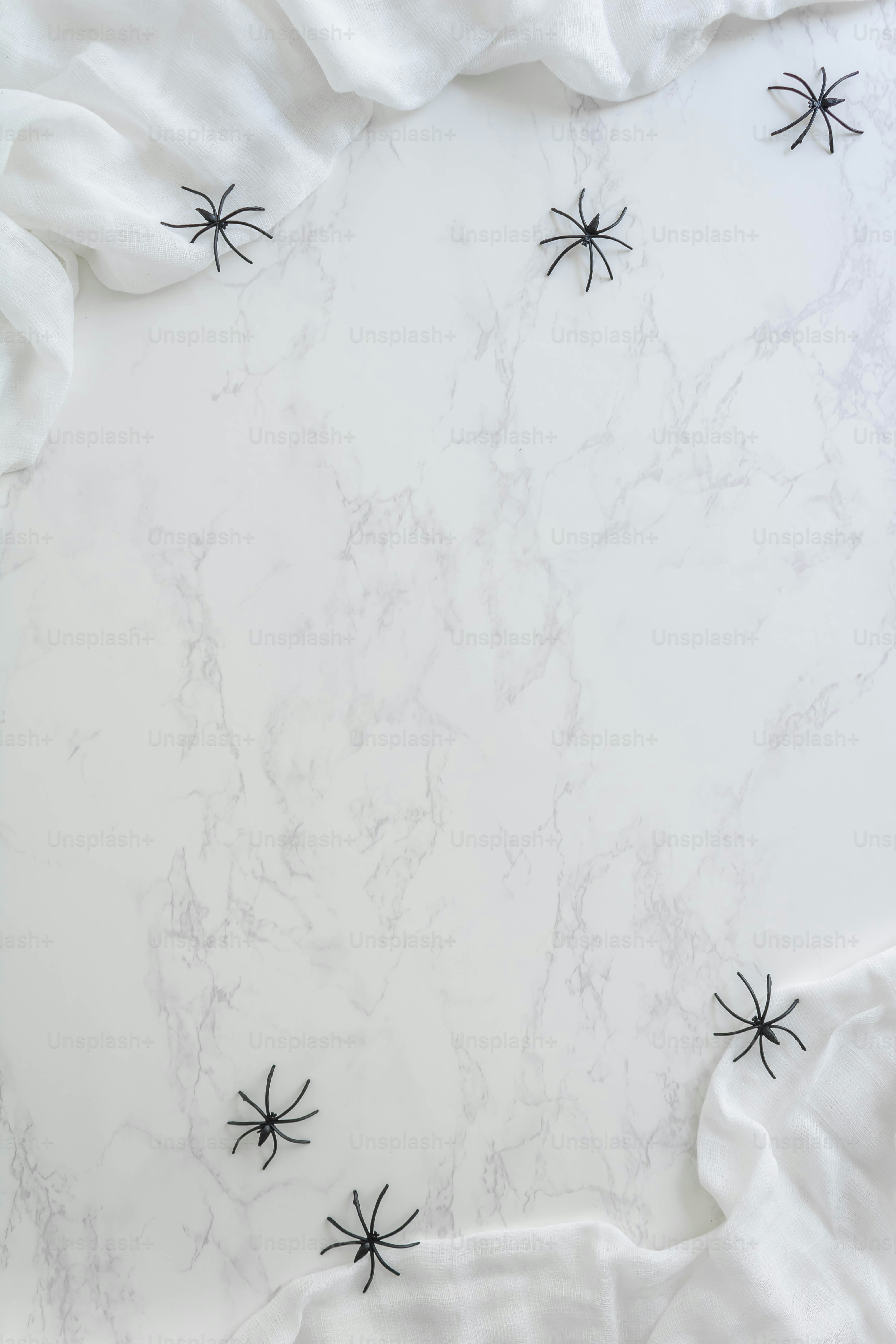 A white sheet with black spider webs on it photo – Spider Image on Unsplash