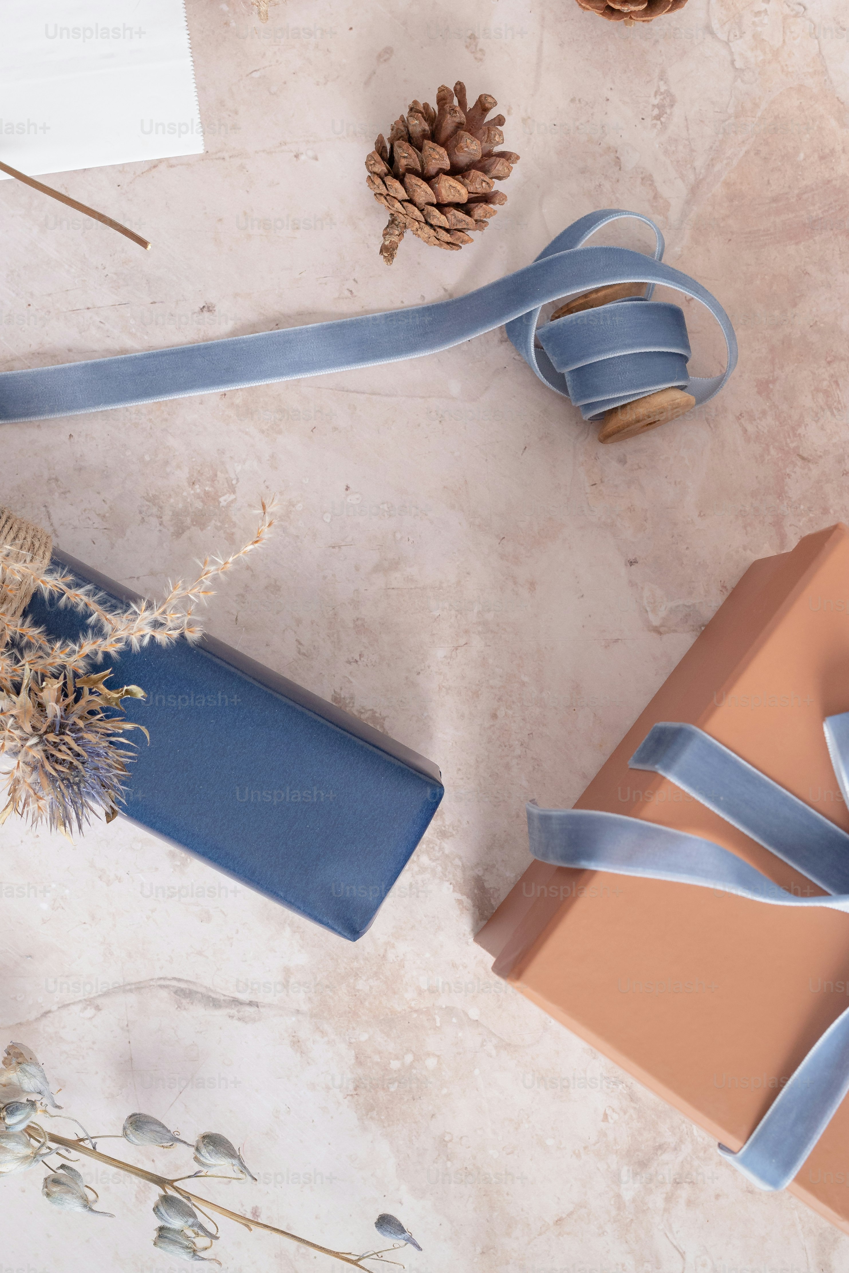 A gift wrapped in blue ribbon next to a pine cone photo – Gift Image on ...