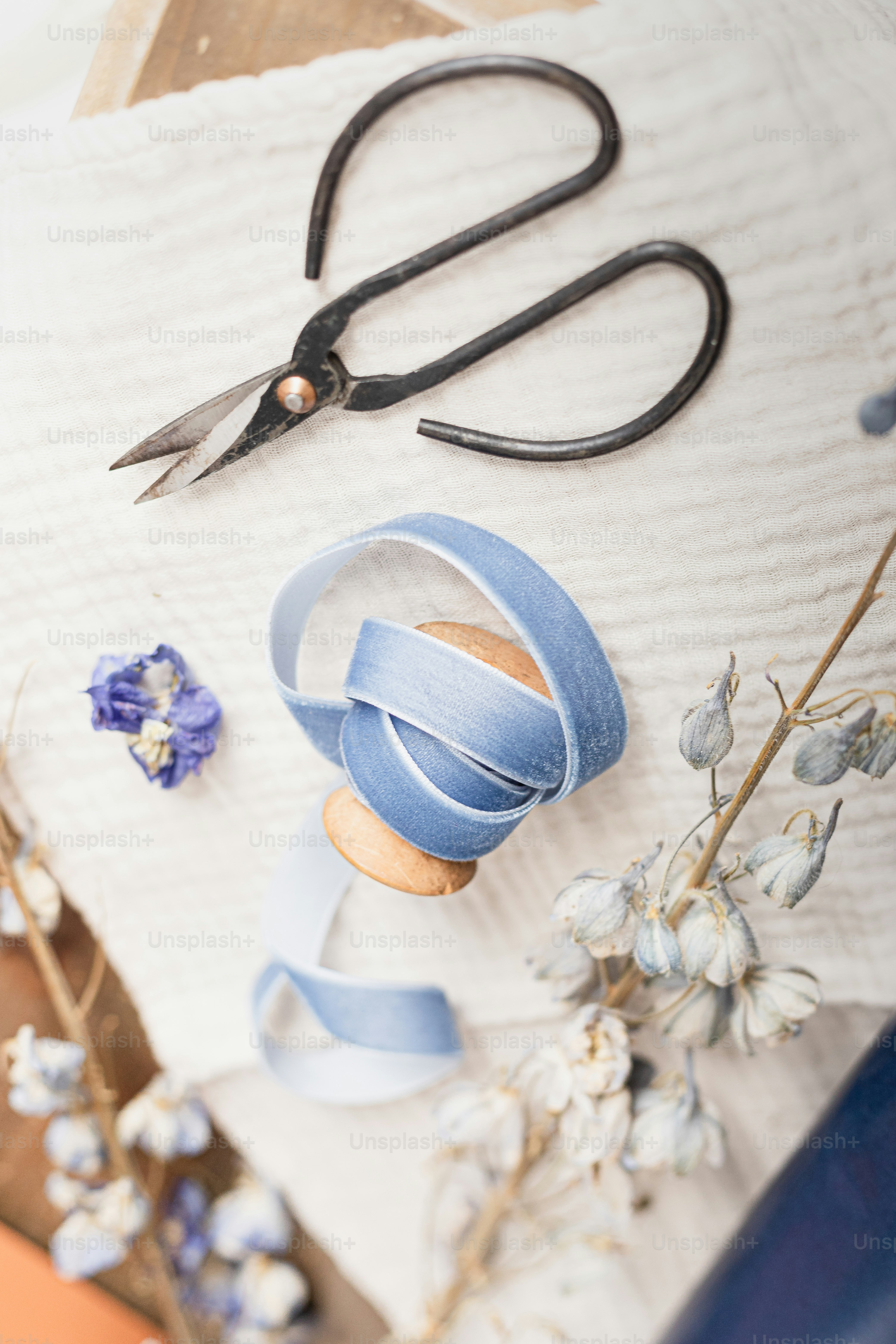 A pair of scissors, a ribbon, and some flowers on a table photo – Decor ...