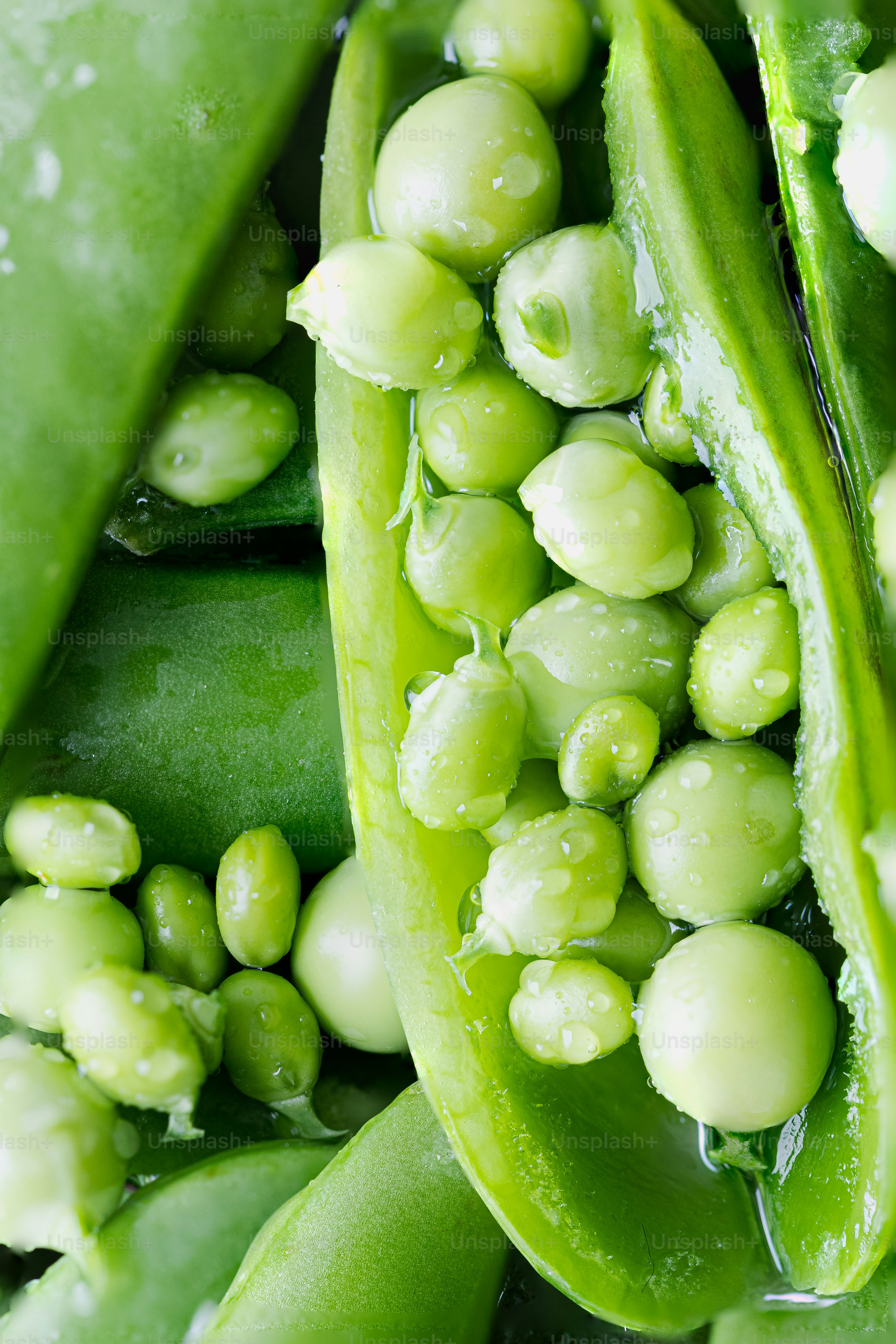 A close up of peas and pea pods photo – Aquarius Image on Unsplash