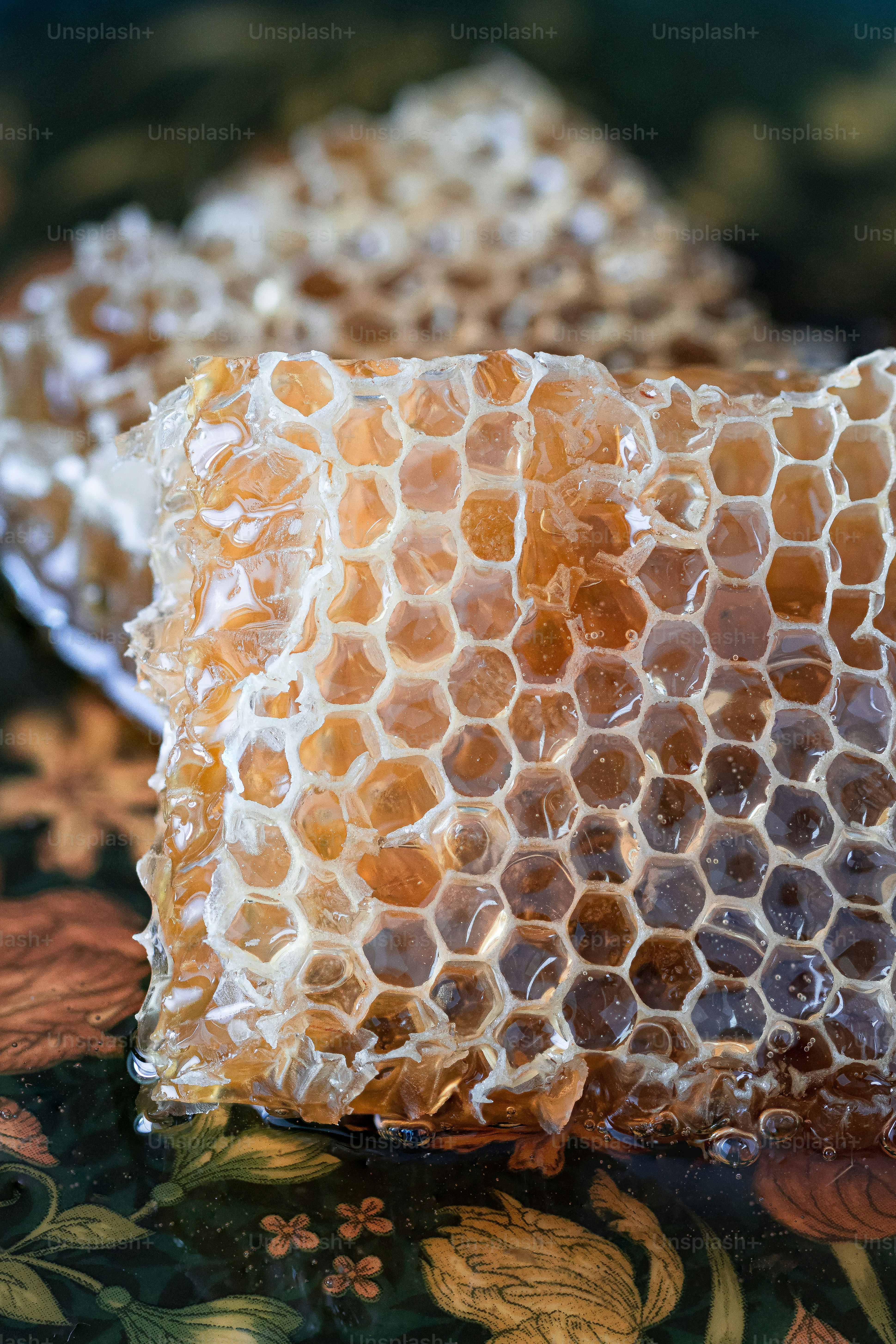 Honey Comb Pictures | Download Free Images on Unsplash