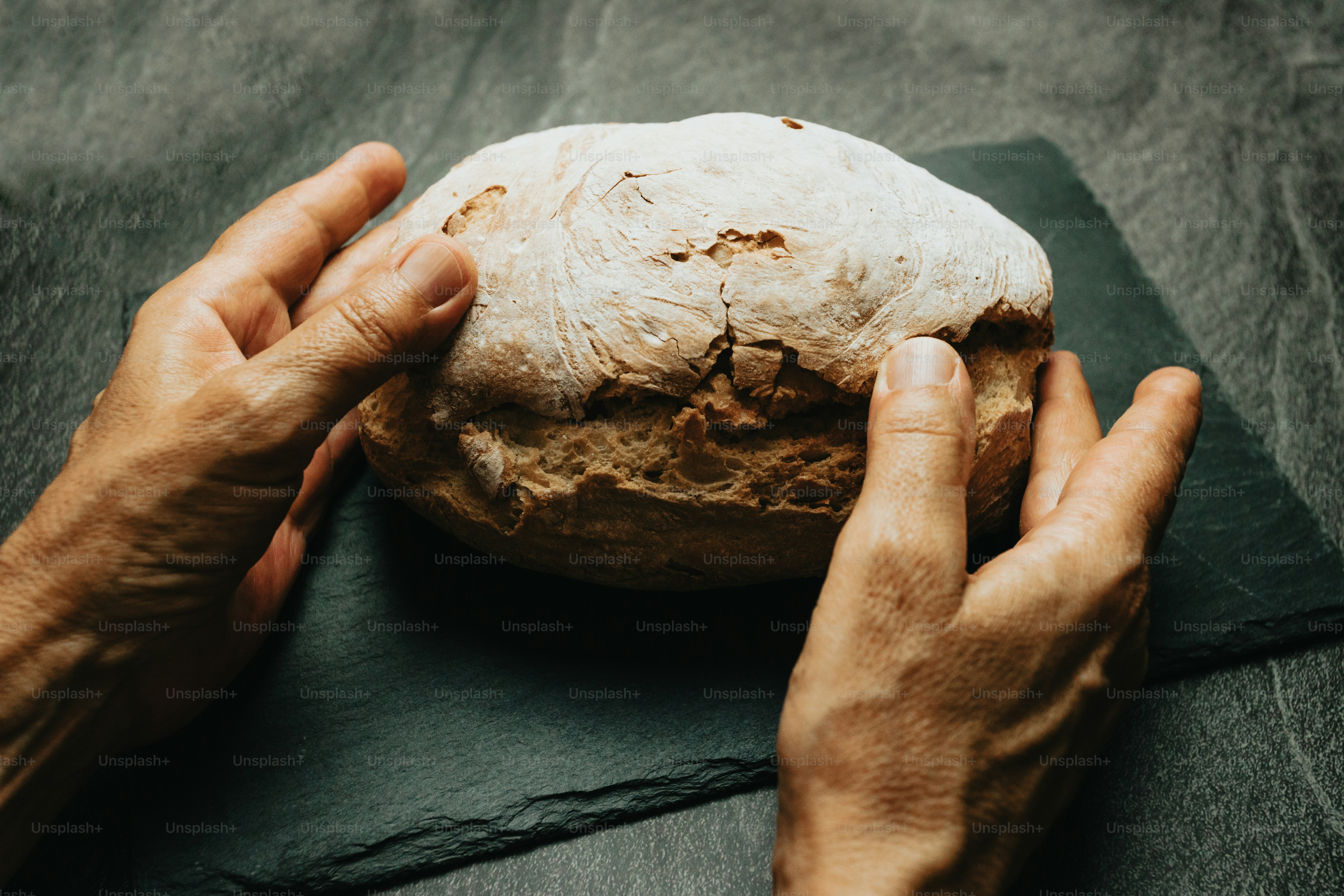 A person holding a loaf of bread in their hands photo – Bread Image on ...