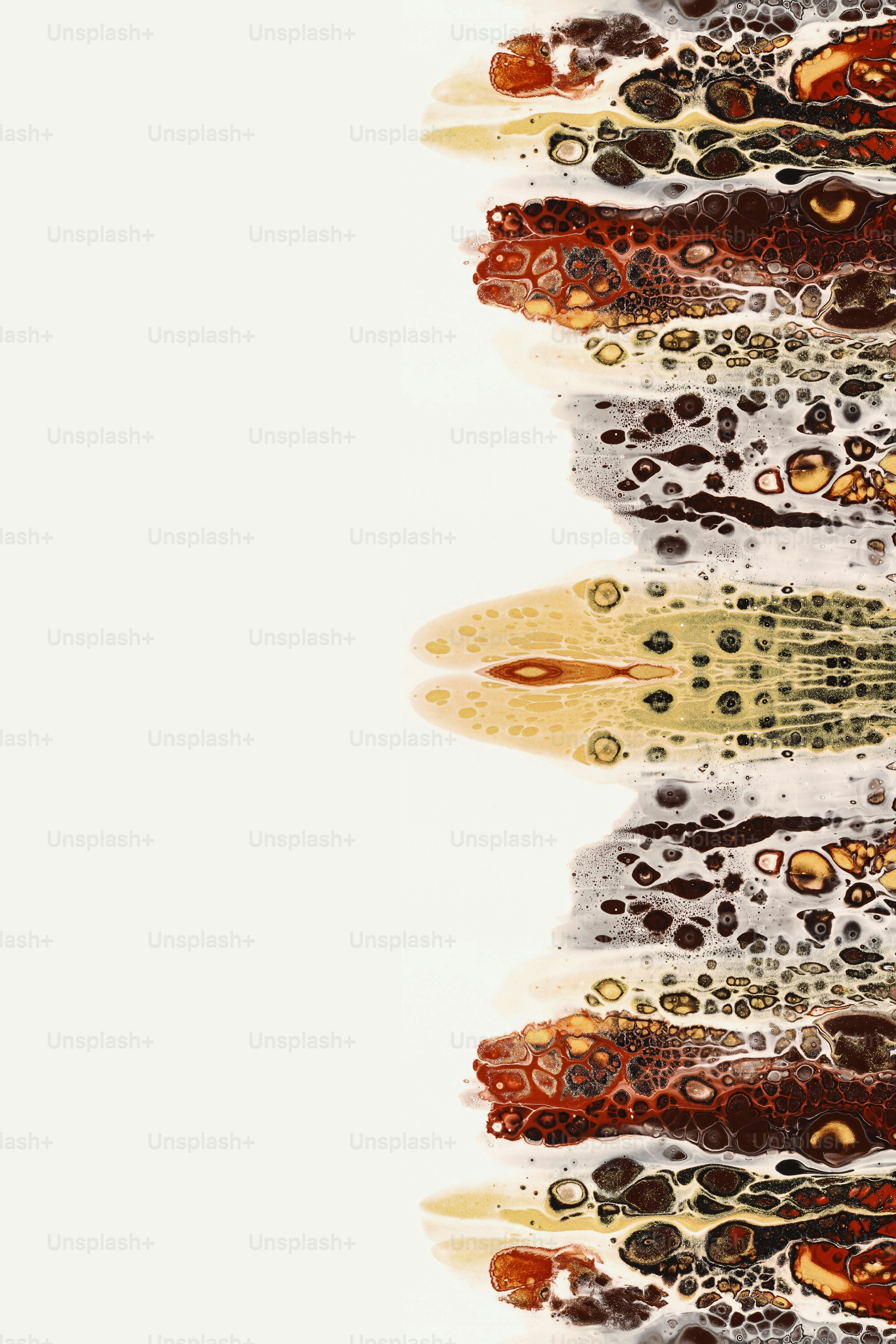 Explore Free Images, Wallpapers, & Backgrounds | Unsplash