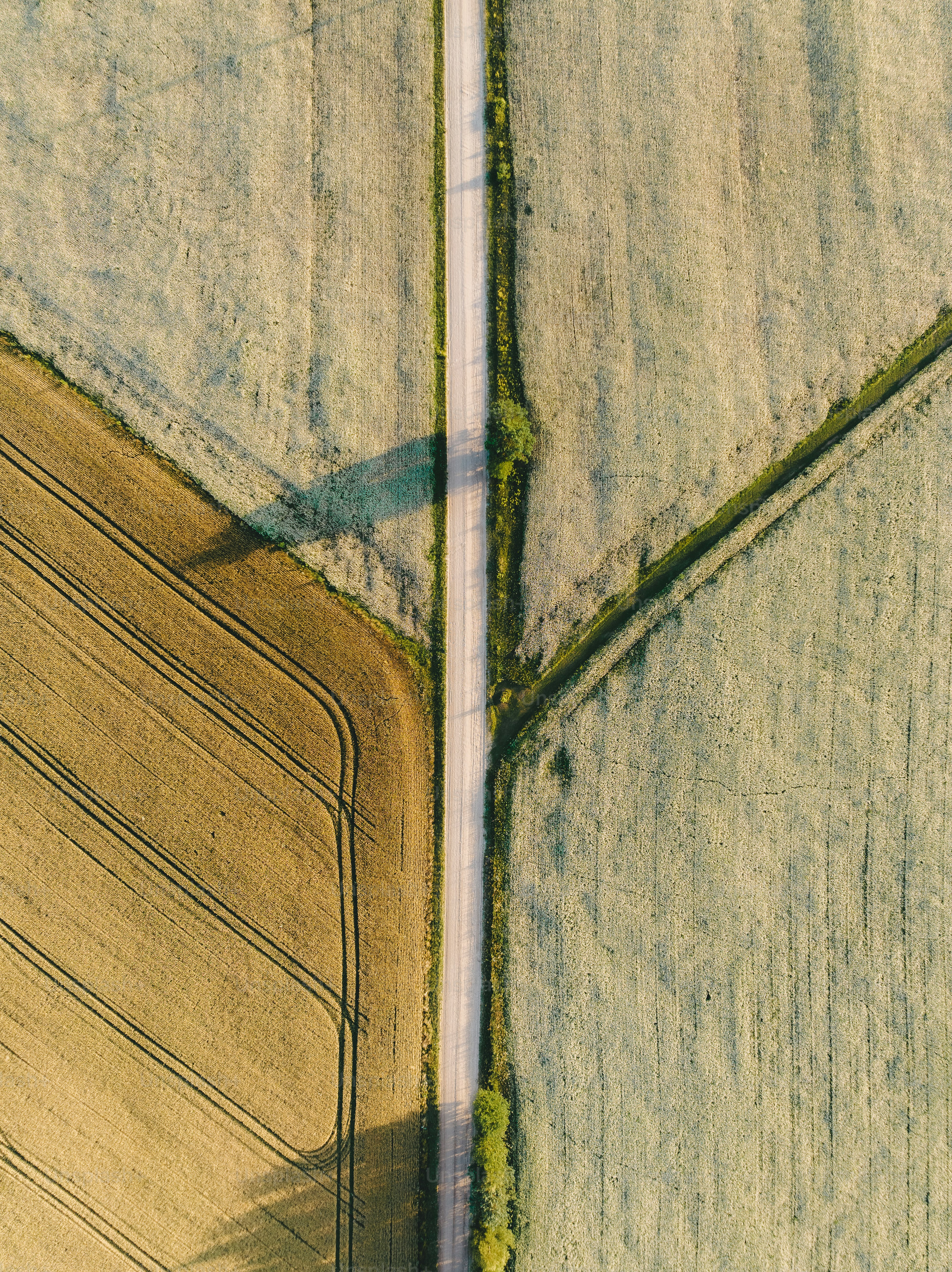 An aerial view of a road in a field photo – Crops Image on Unsplash