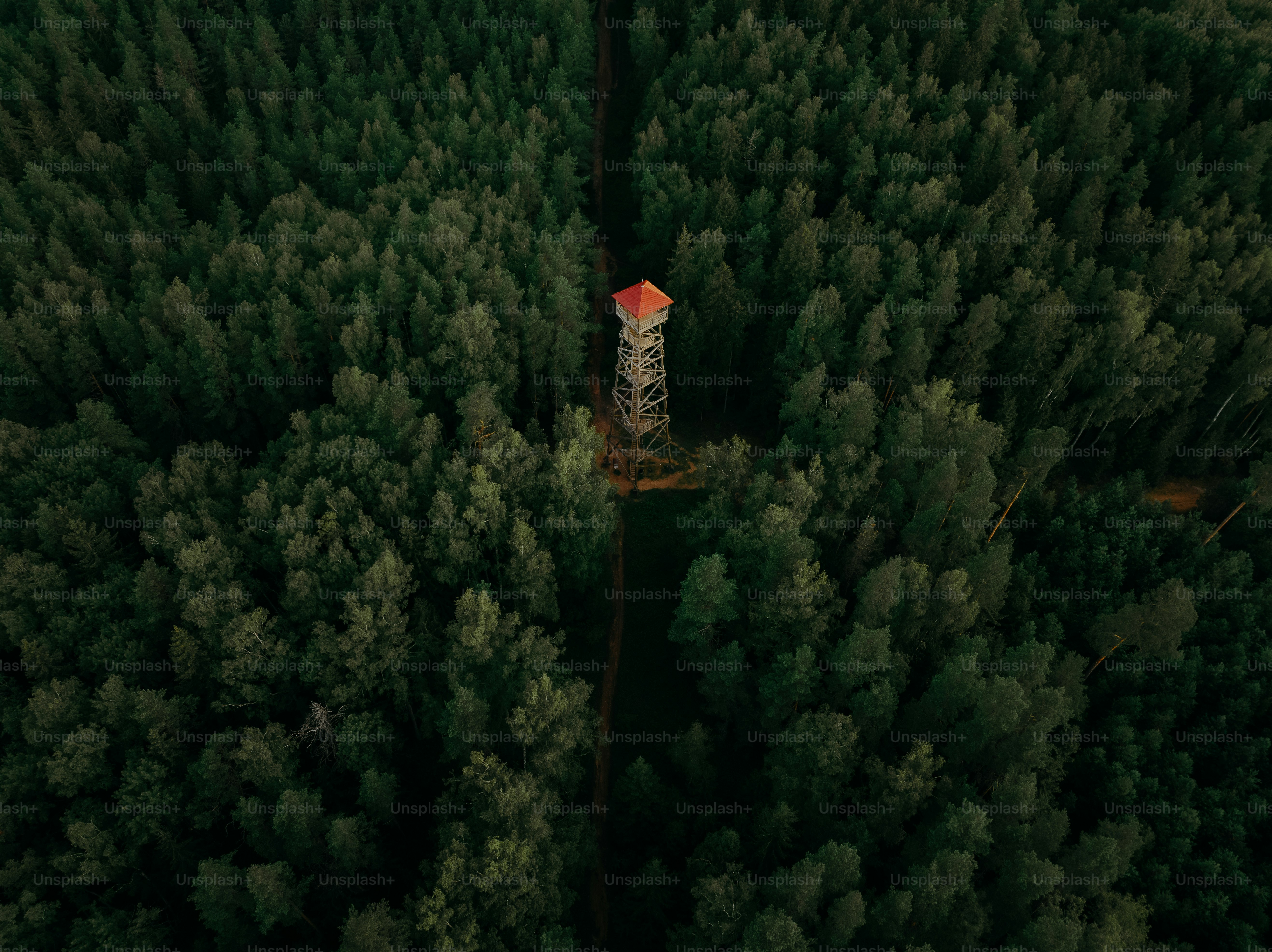 A tall tower in the middle of a forest photo – Forest aerial Image on ...