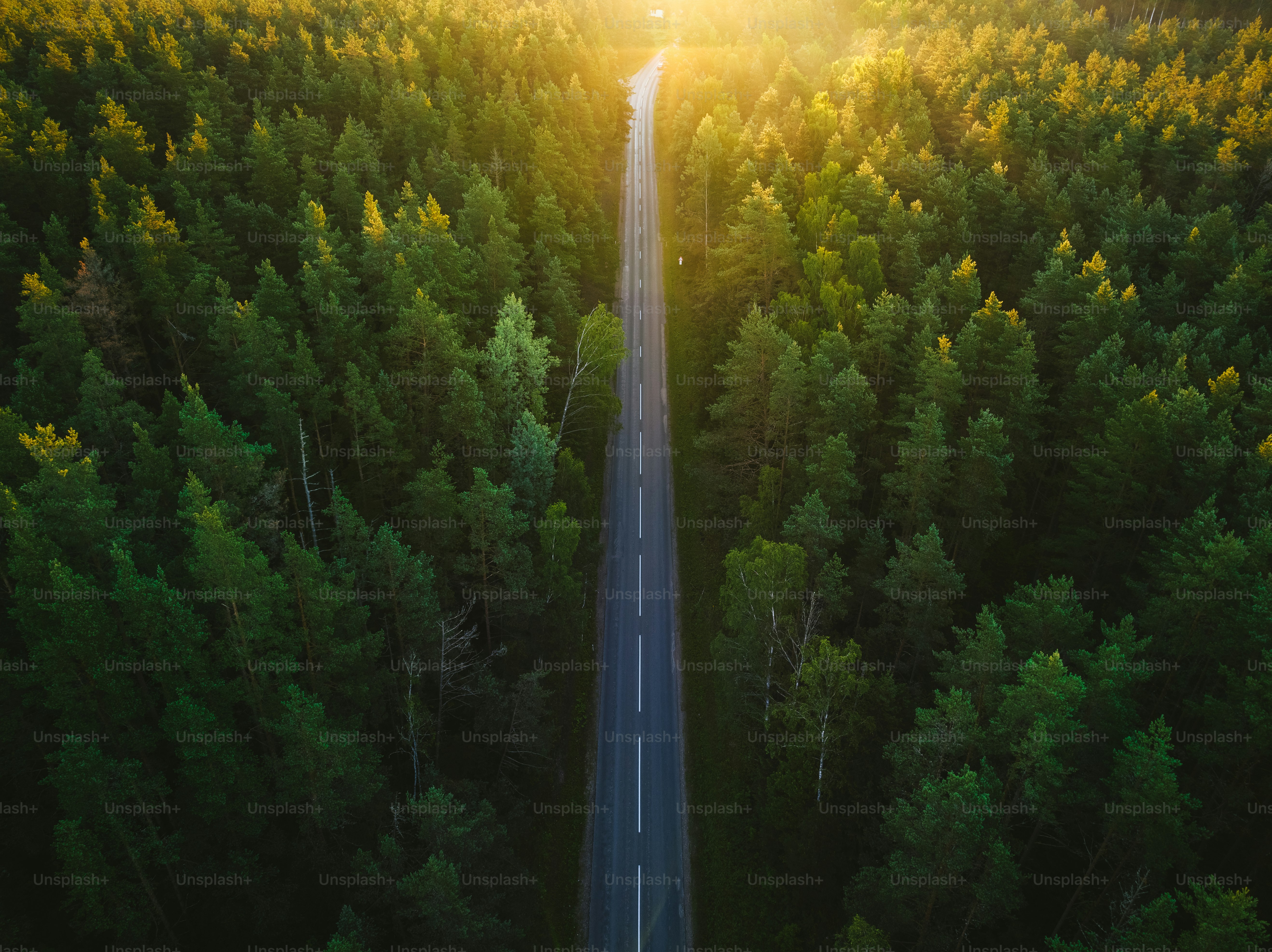 Vue aérienne d’une route au milieu d’une forêt photo – La nature Photo ...