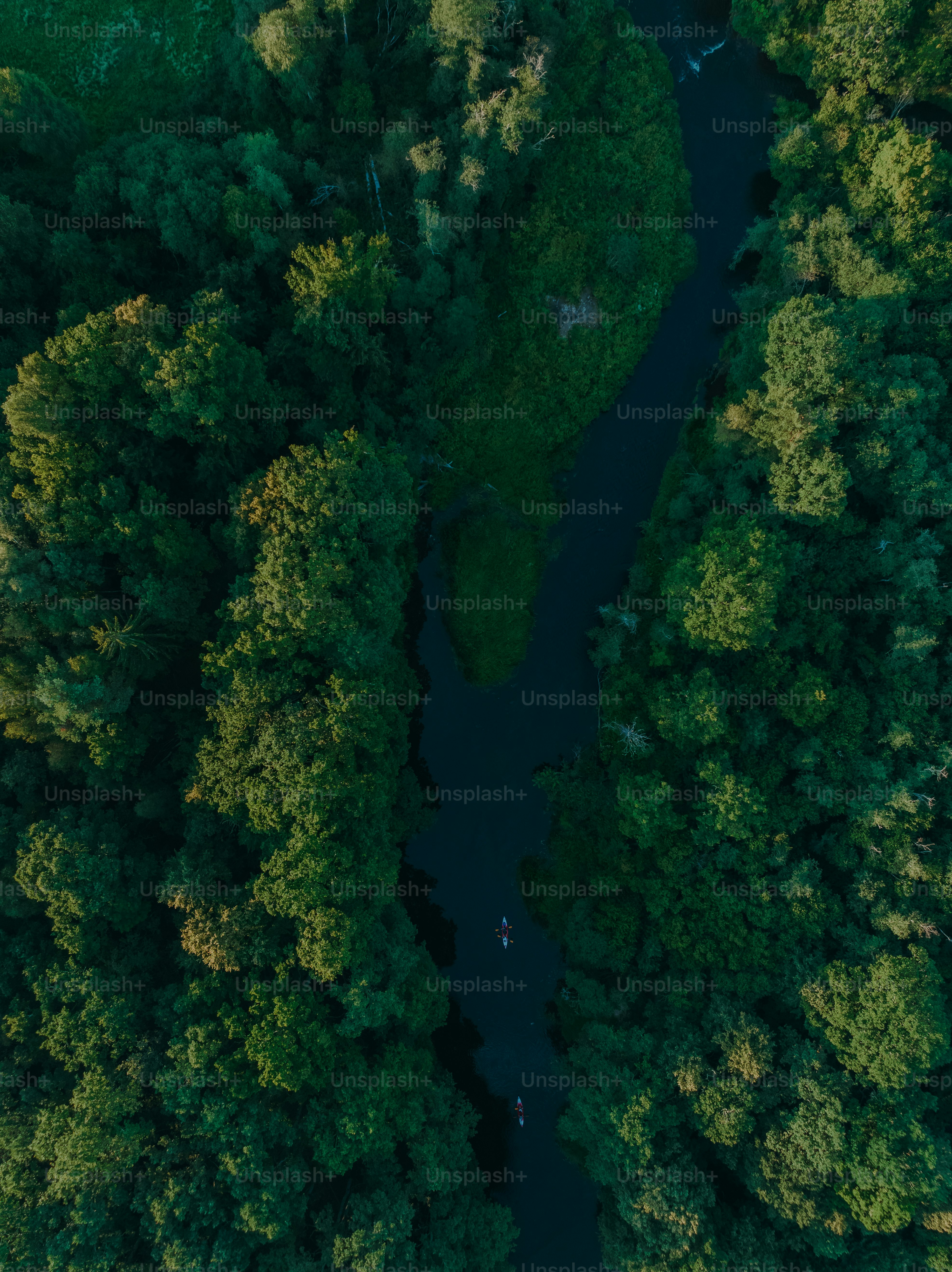 An aerial view of a river running through a lush green field photo ...