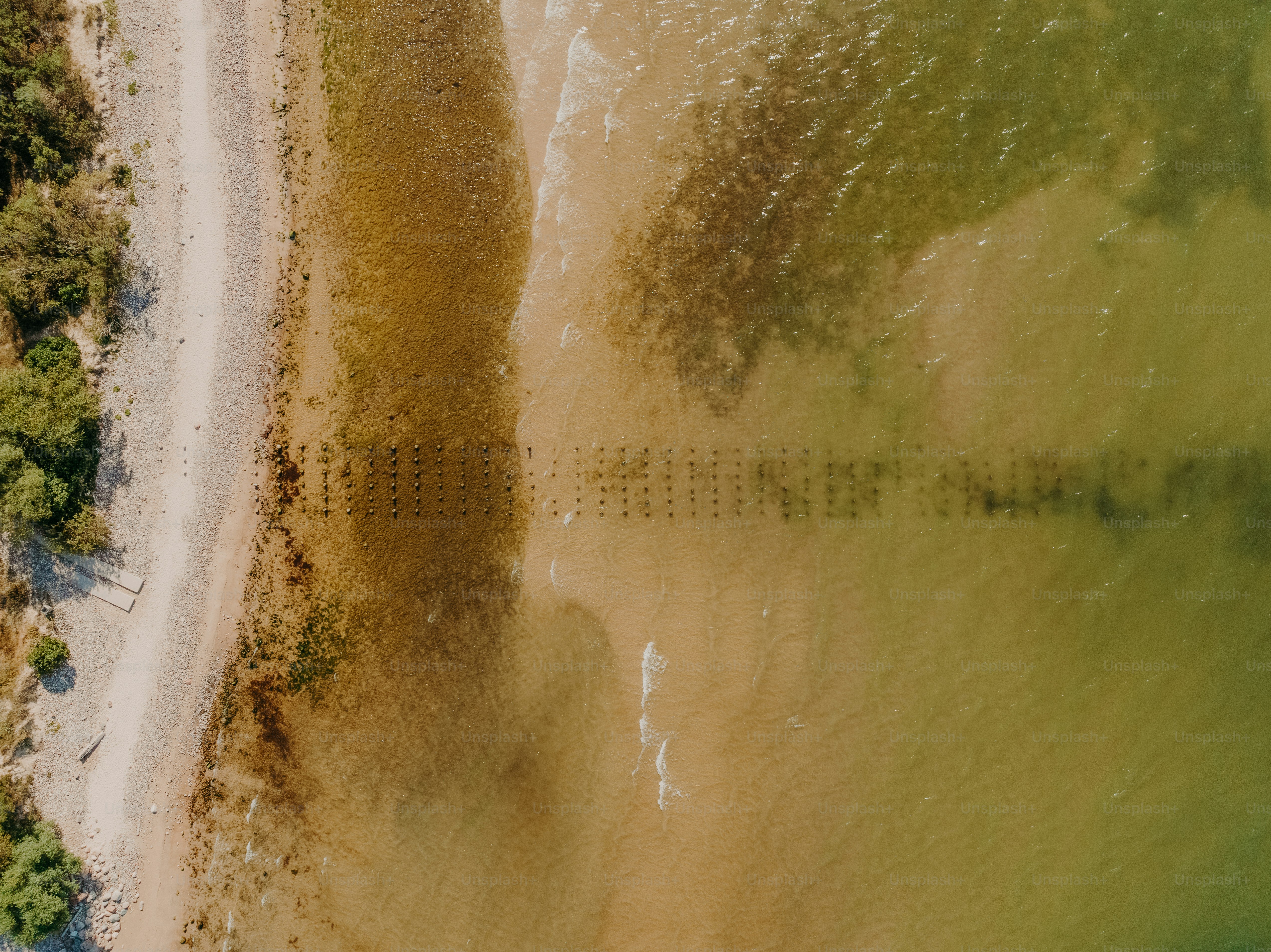 An aerial view of a beach and a body of water photo – Waterside Image ...