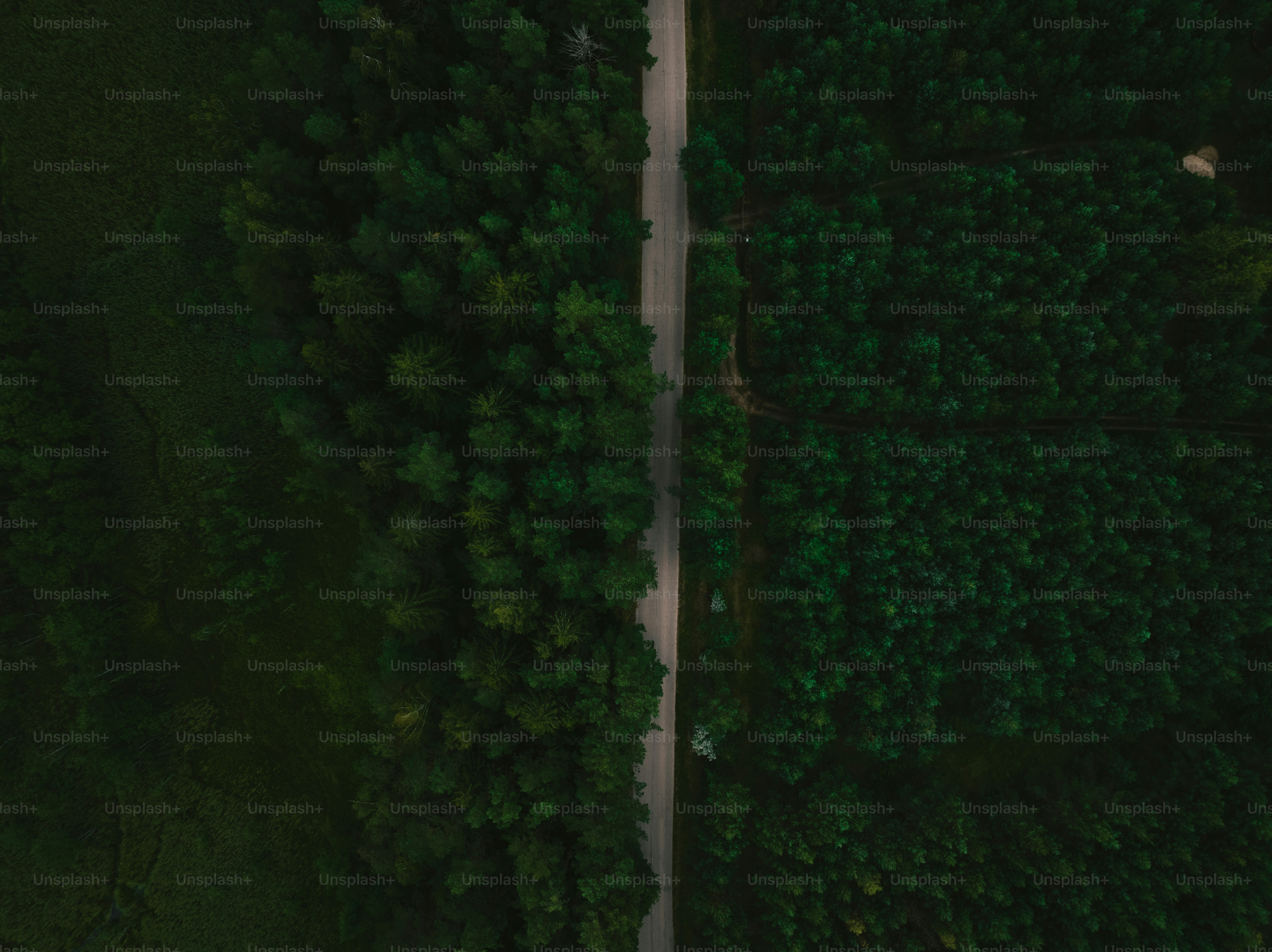 An aerial view of a lush green field photo – Zelda Image on Unsplash
