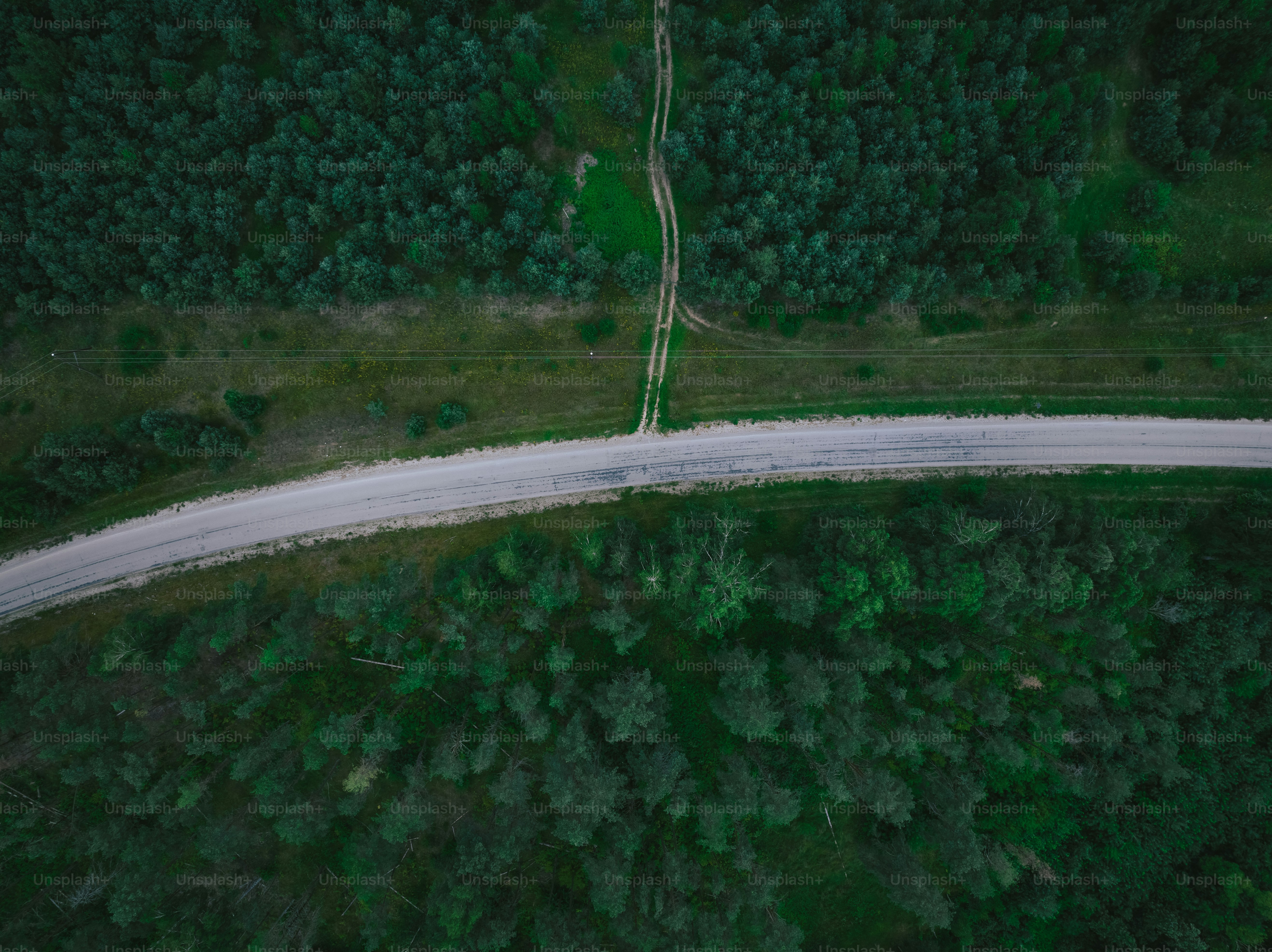 An aerial view of a lush green field photo – Zelda Image on Unsplash