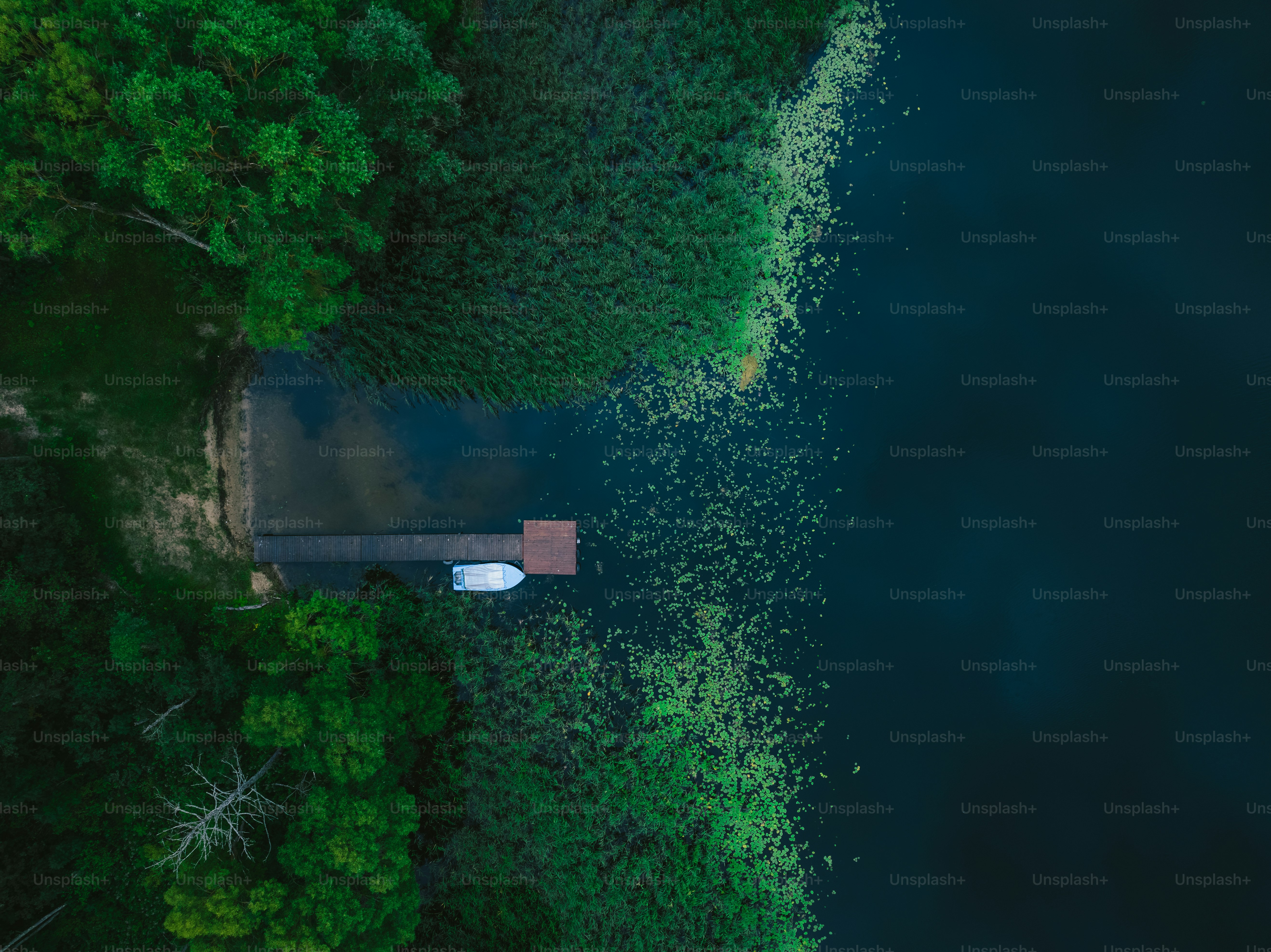 An aerial view of a house in the middle of a forest photo – Waterside ...