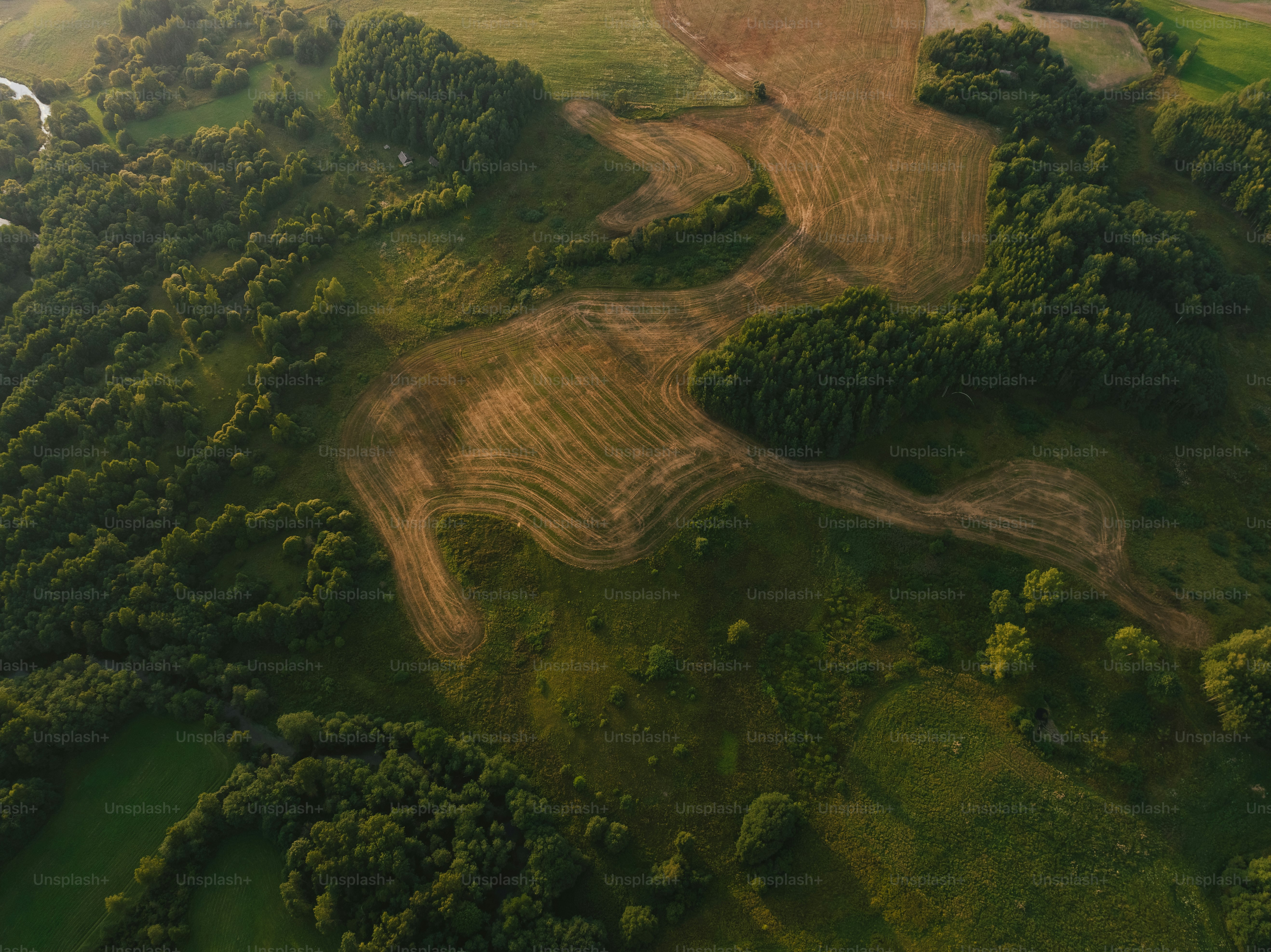 An aerial view of a dirt track surrounded by trees photo – Land plot ...