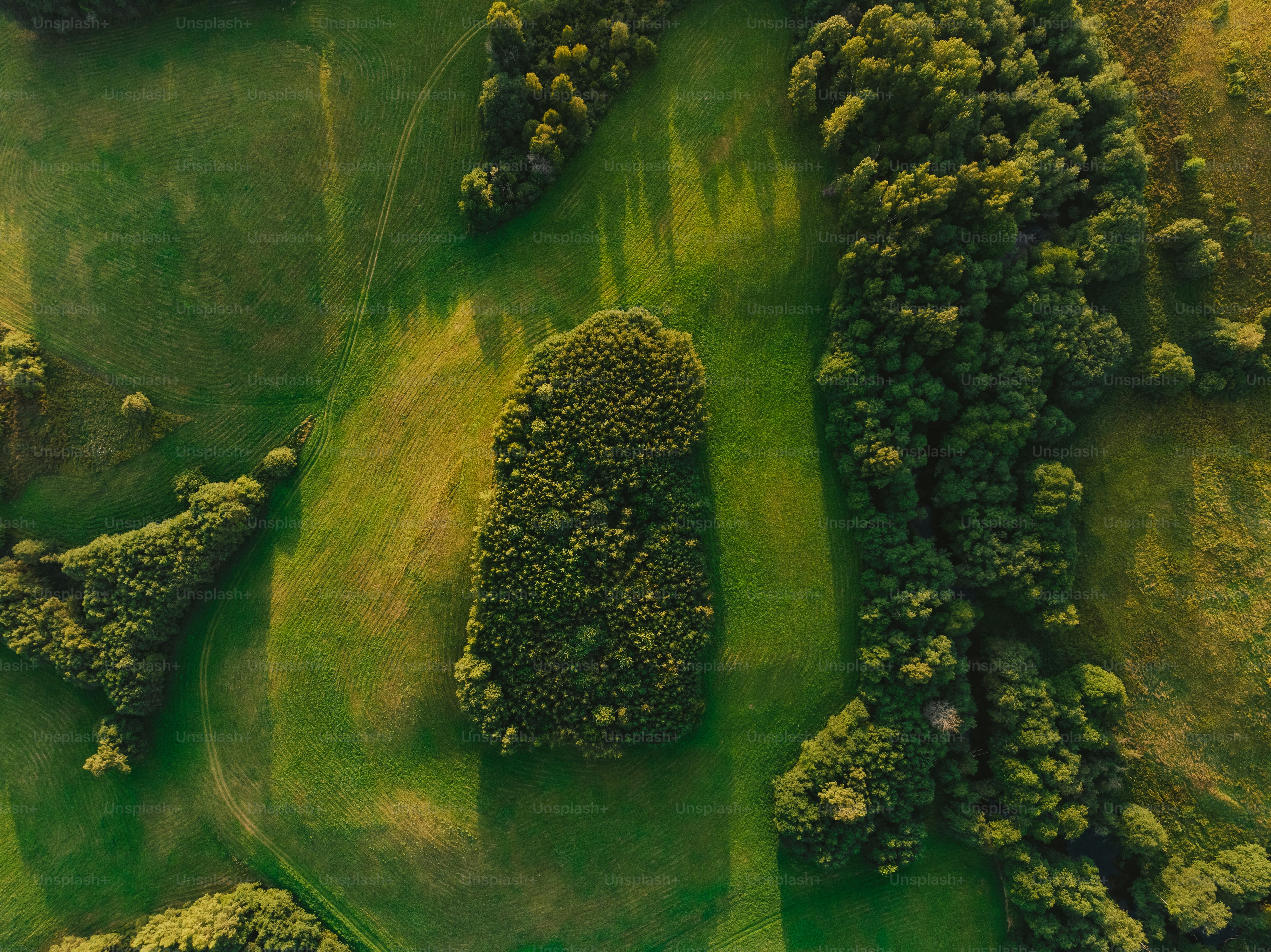 An aerial view of a lush green field photo – Zelda Image on Unsplash