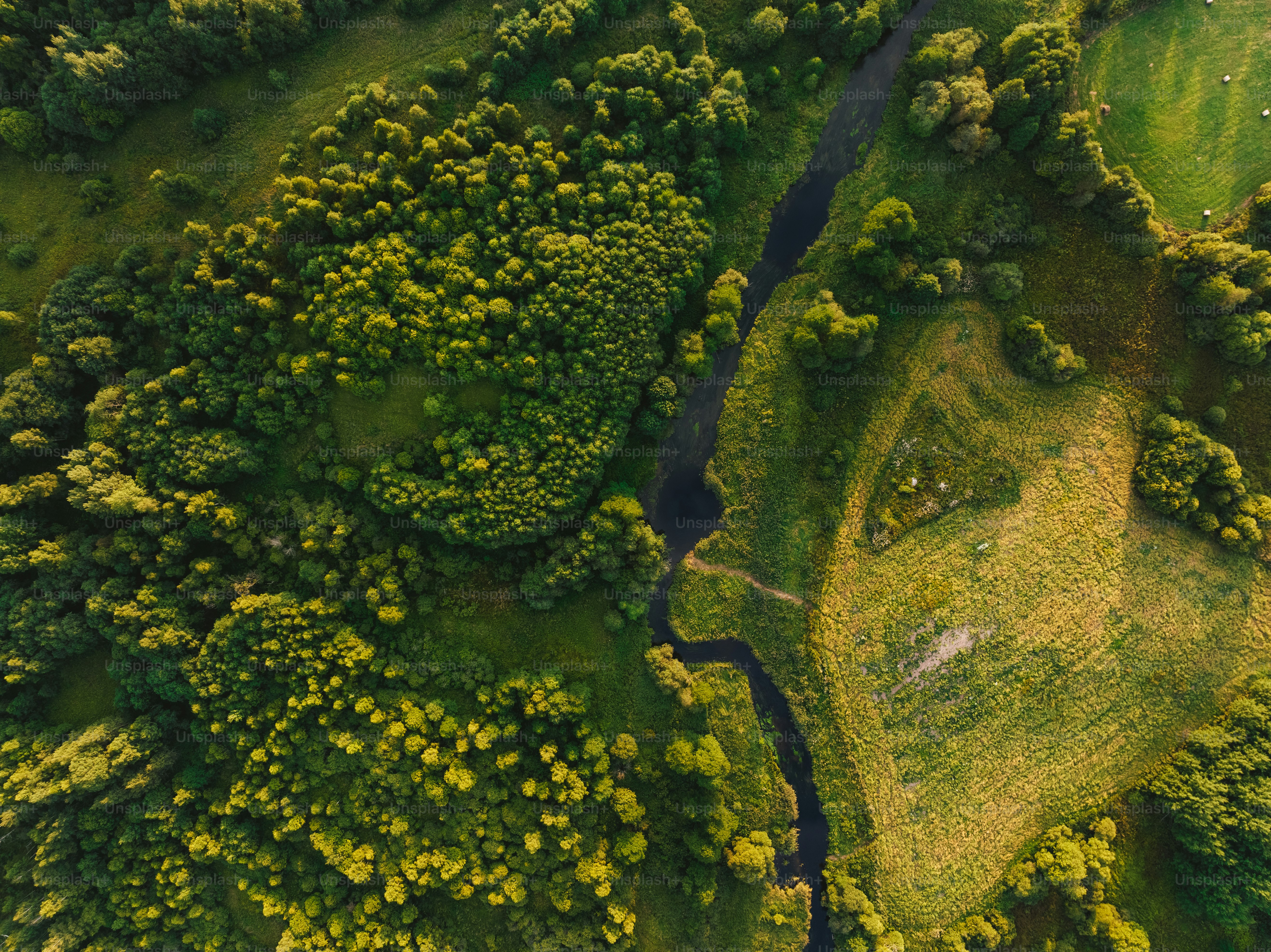 An aerial view of a green field with trees photo – Drone Image on Unsplash