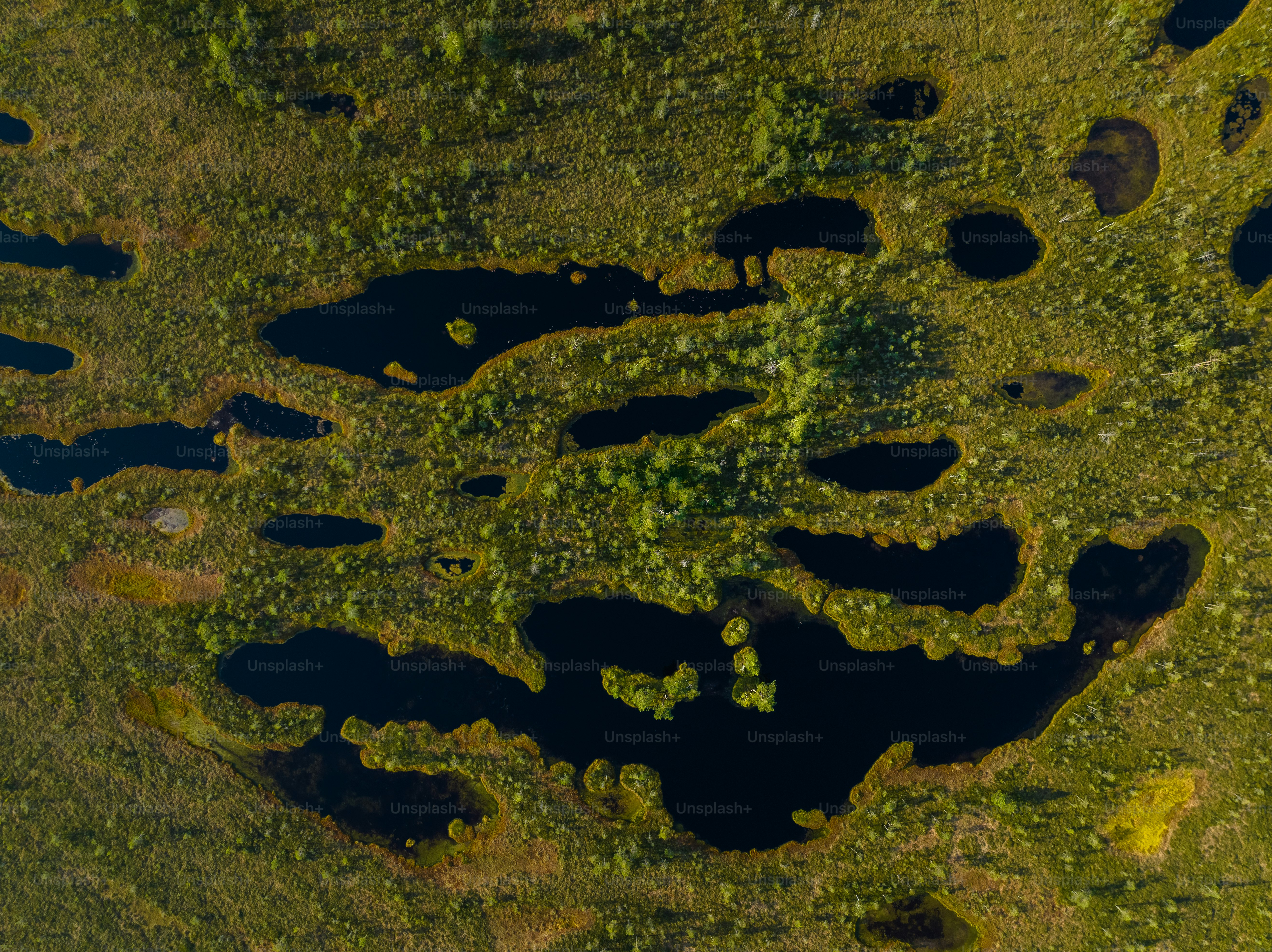 An aerial view of a tree covered area photo – Lake Image on Unsplash