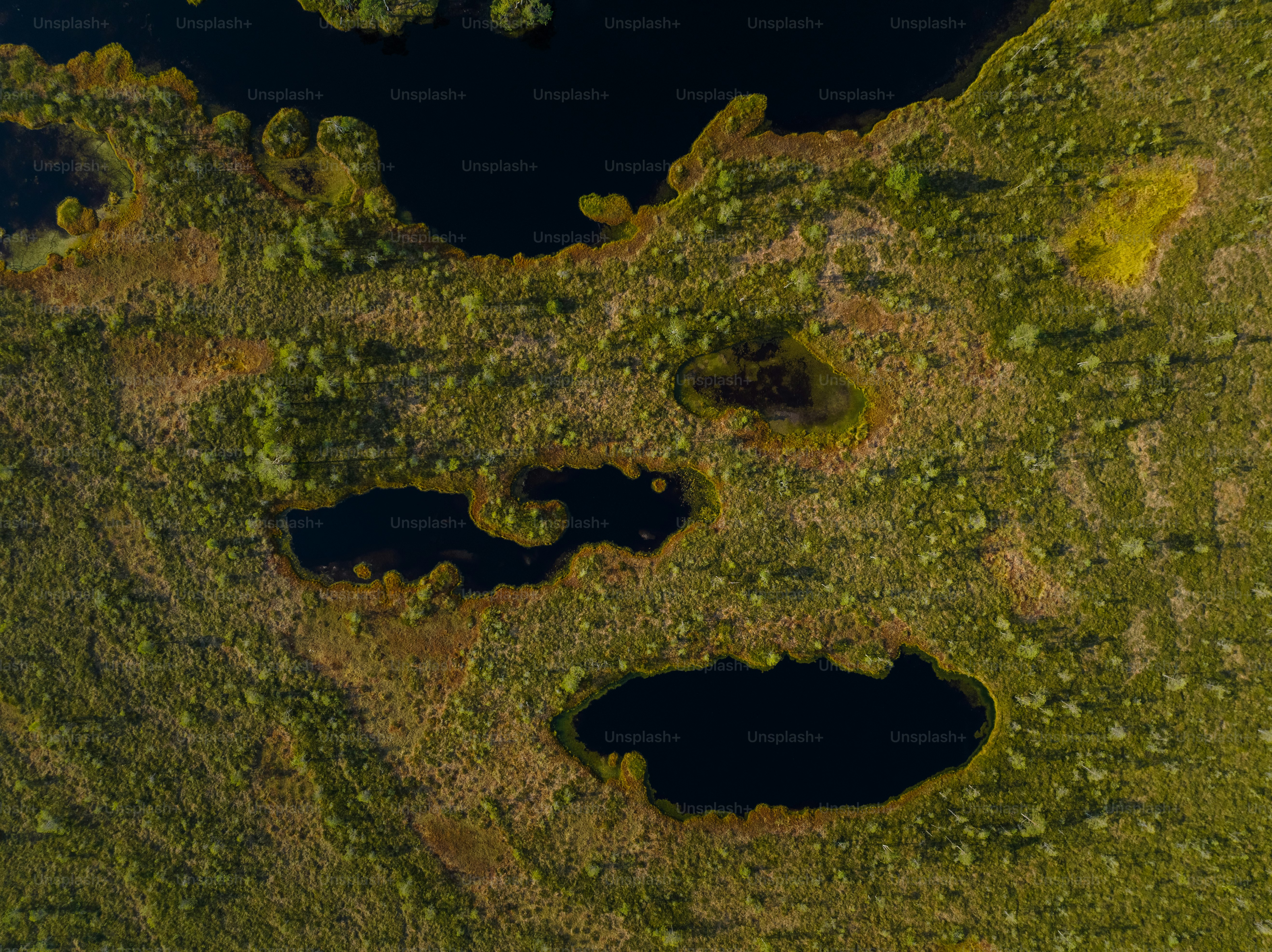 An aerial view of a tree covered area photo – Water Image on Unsplash