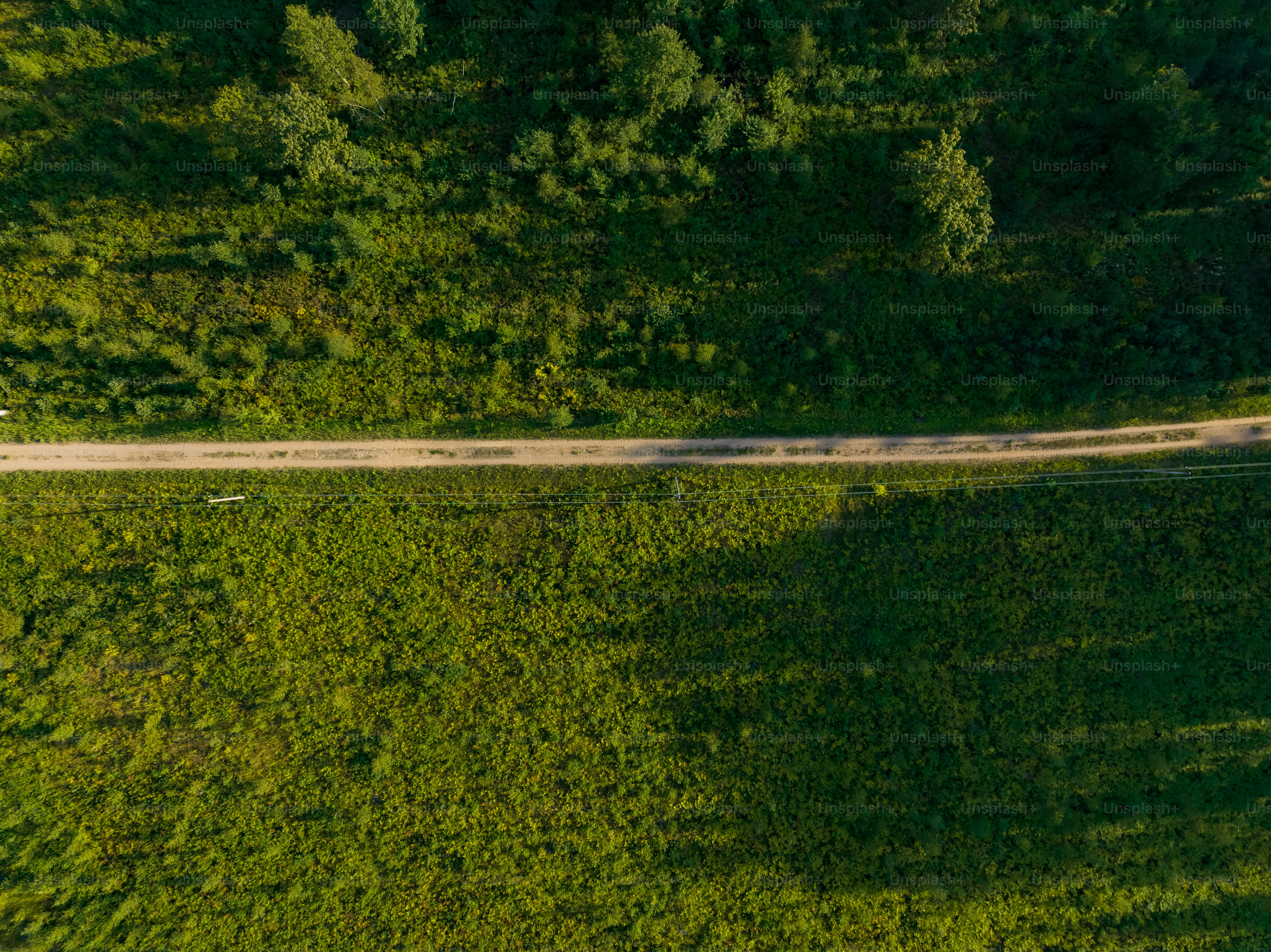 An aerial view of a tree covered area photo – Water Image on Unsplash