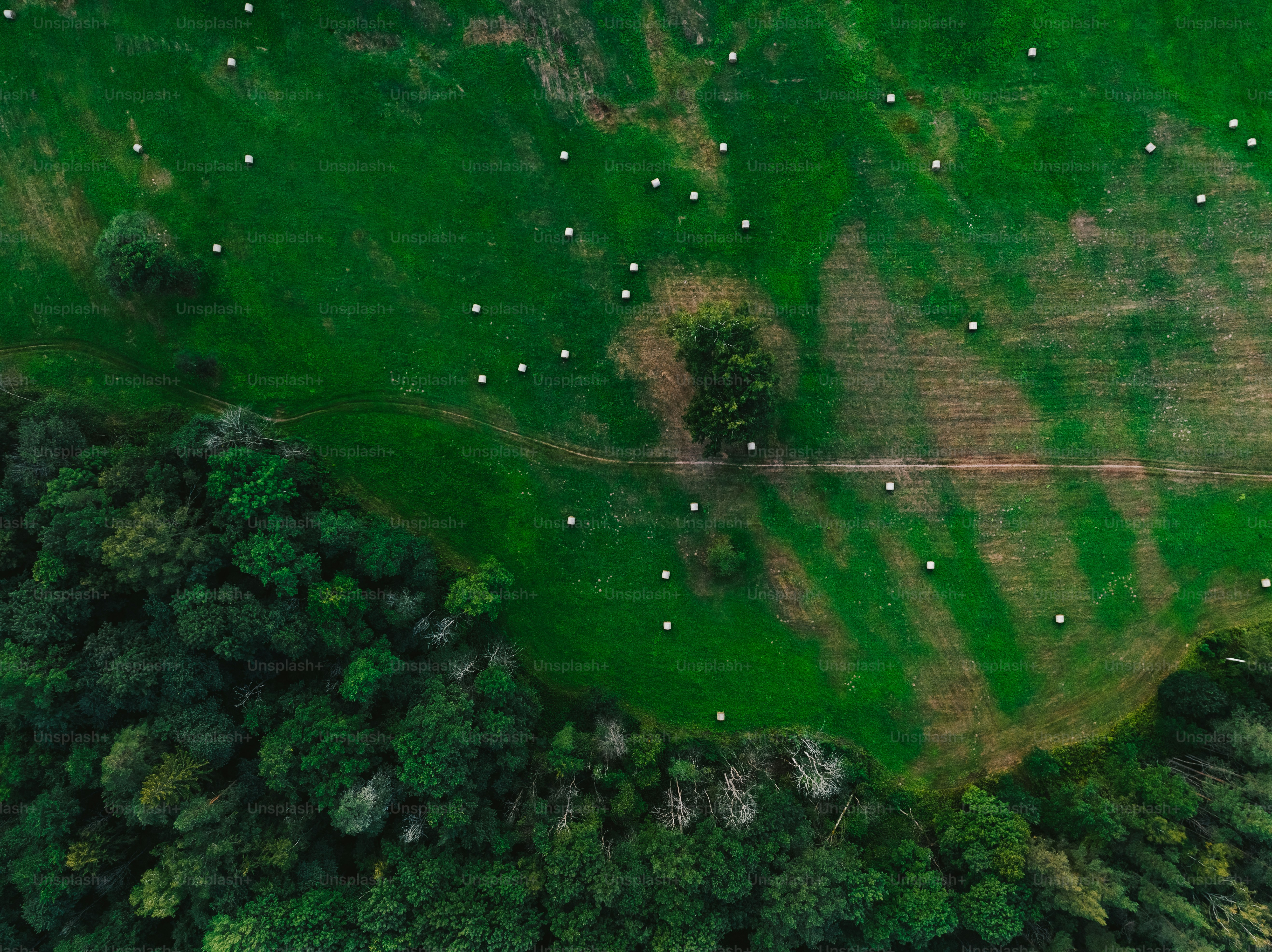 An aerial view of a tree covered area photo – Water Image on Unsplash
