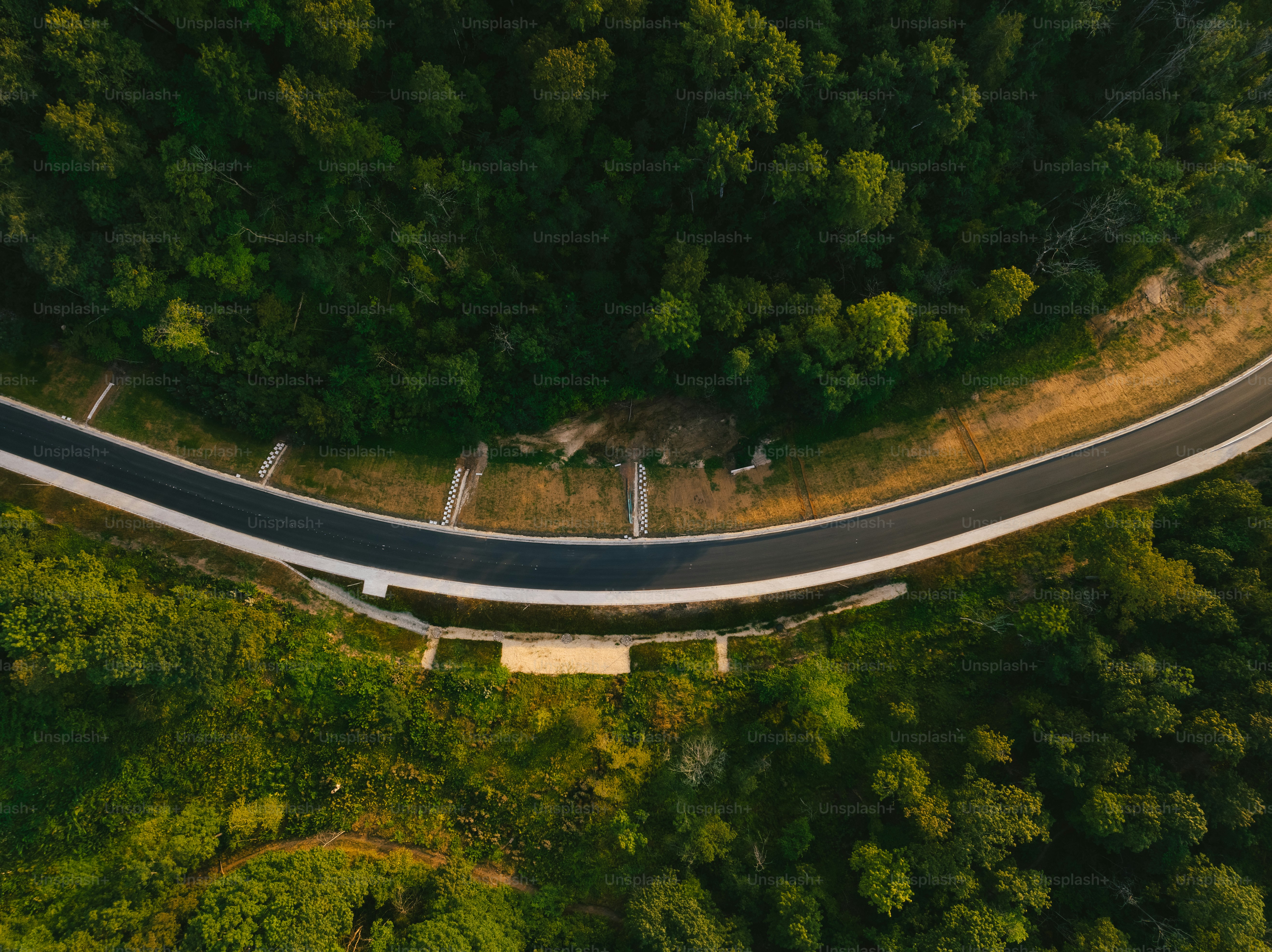 An aerial view of a road in the middle of a forest photo – Nature Image ...