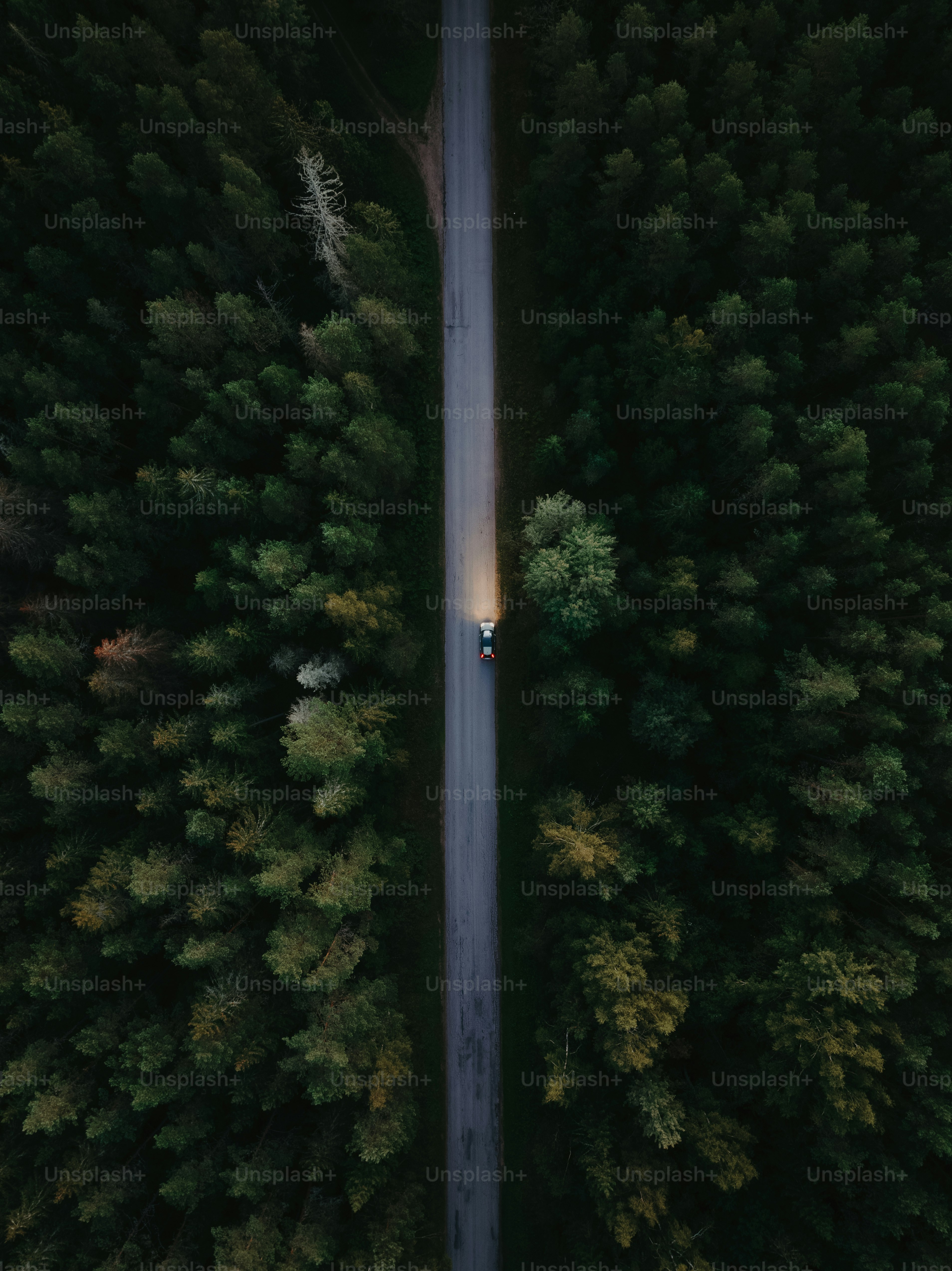 A car driving down a road surrounded by trees photo – Wallpapers Image ...