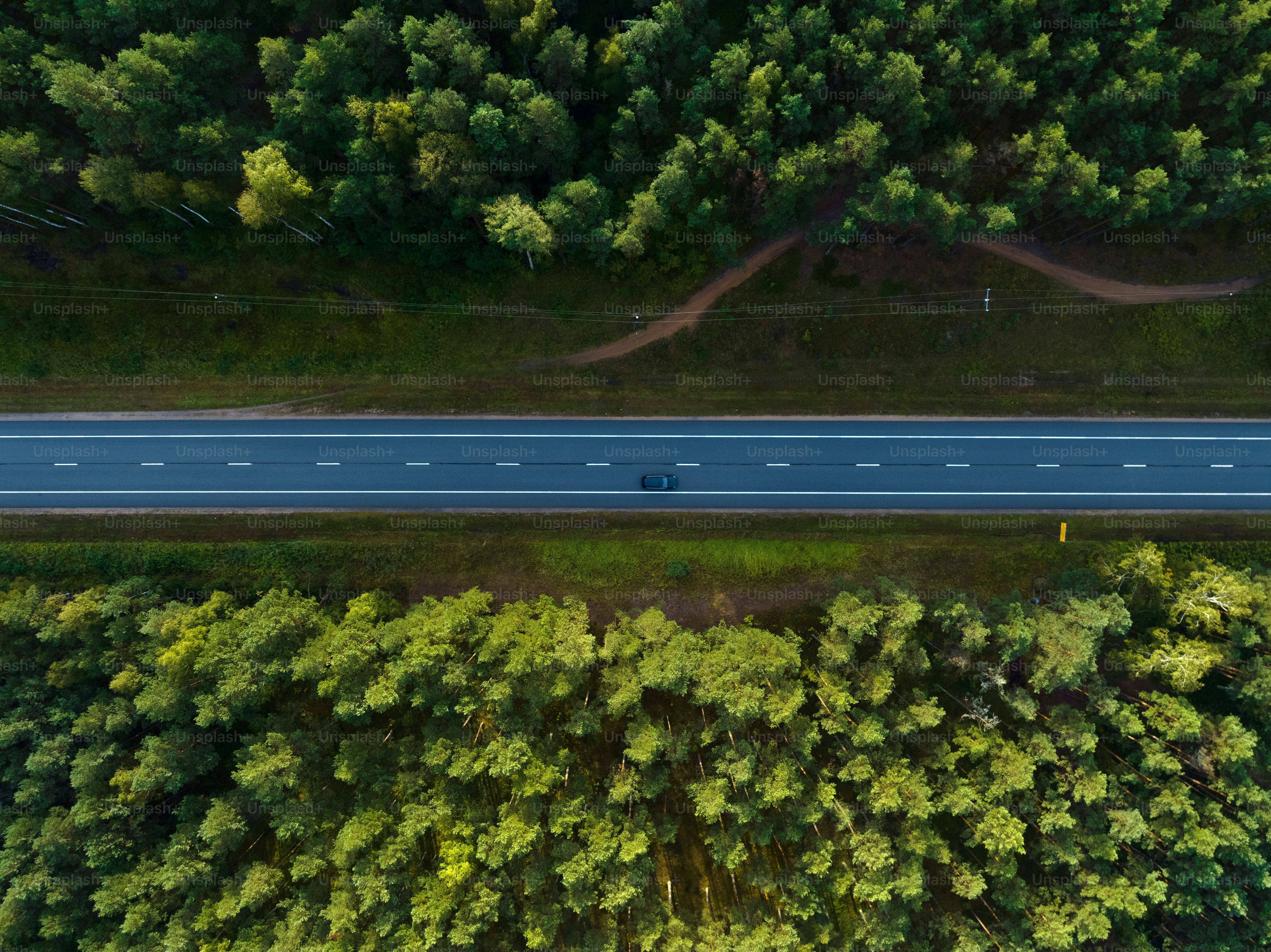 An aerial view of a road surrounded by trees photo – Nature Image on ...