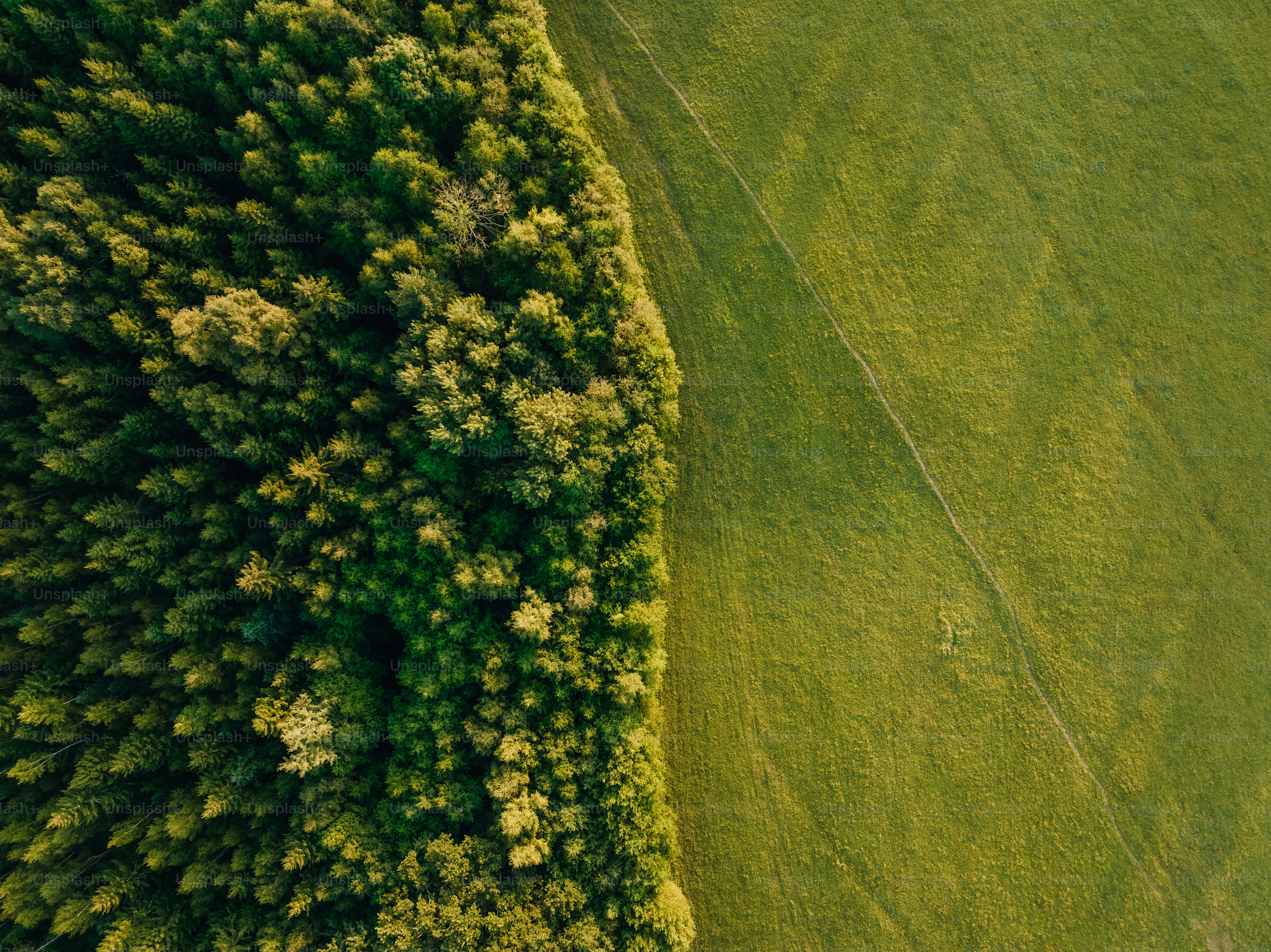 An aerial view of a field and a field of grass photo – Farm Image on ...