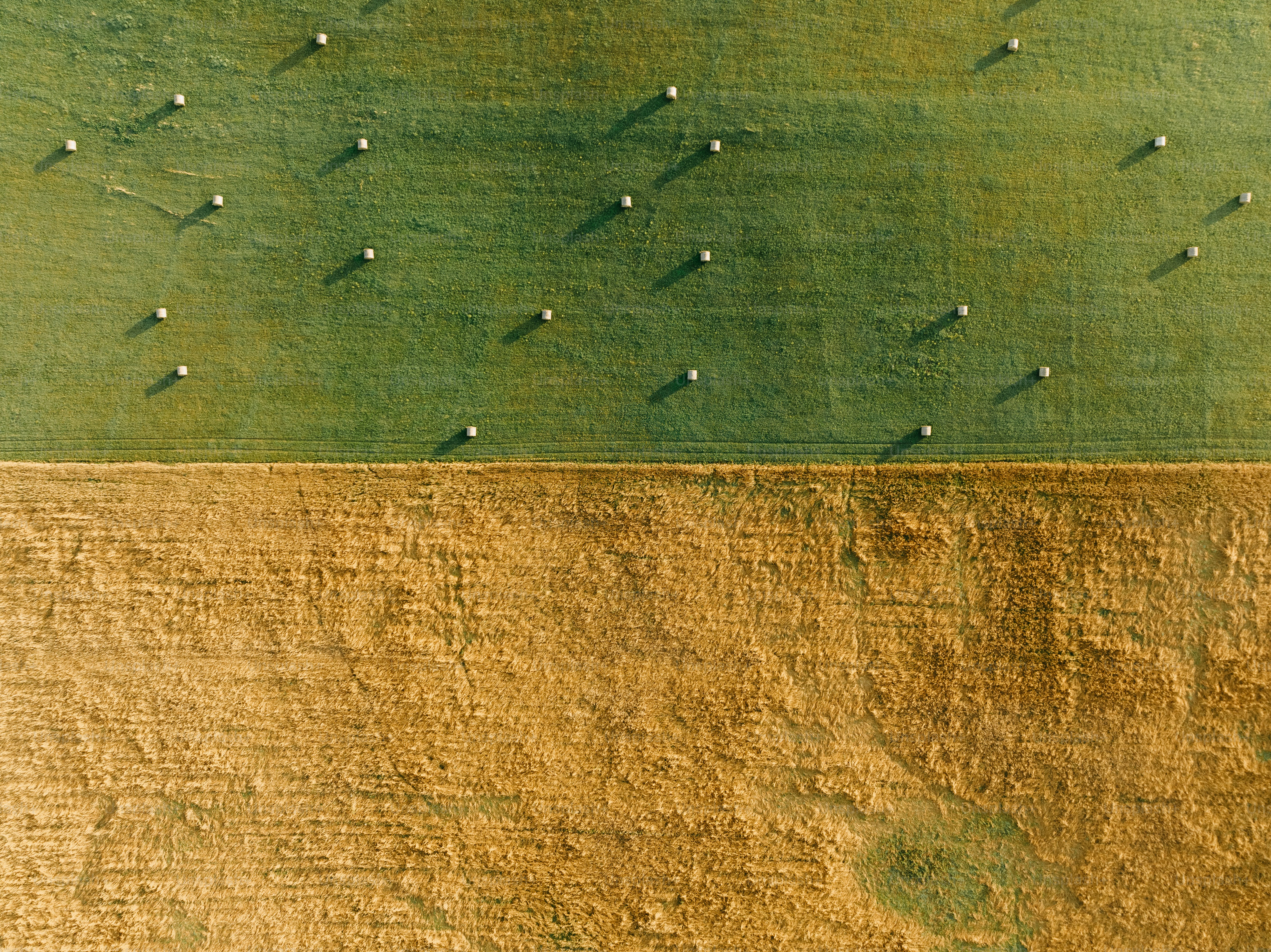 Une vue aérienne d’un terrain de baseball avec un terrain de baseball ...