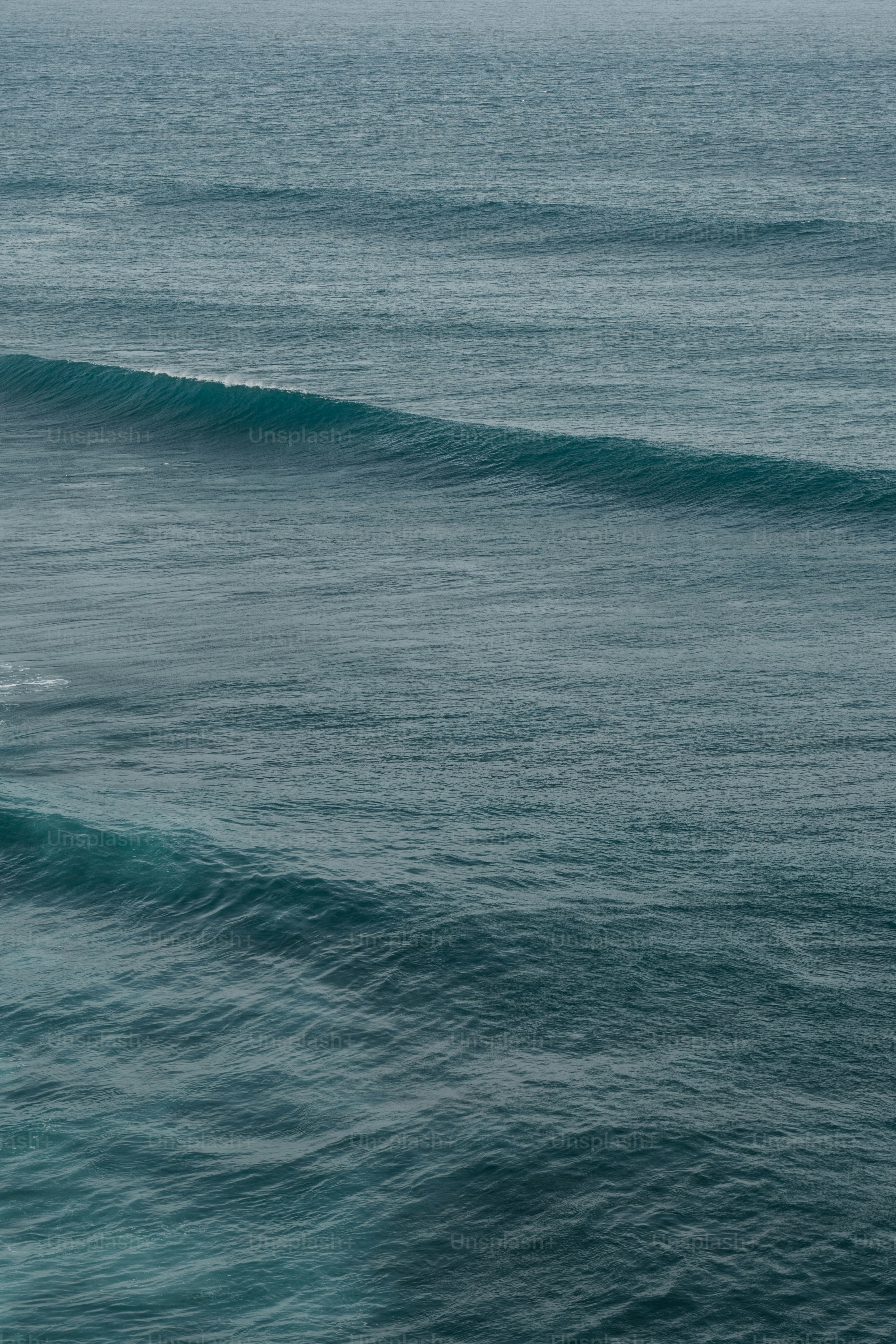 A person riding a surfboard on a wave in the ocean photo – Sea wave ...